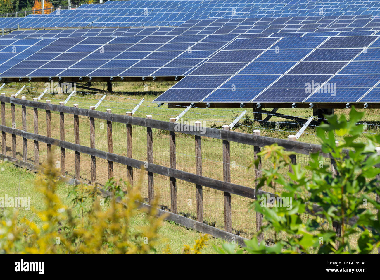 Ground mounted solar panel array protected by sturdy wood and wire ...