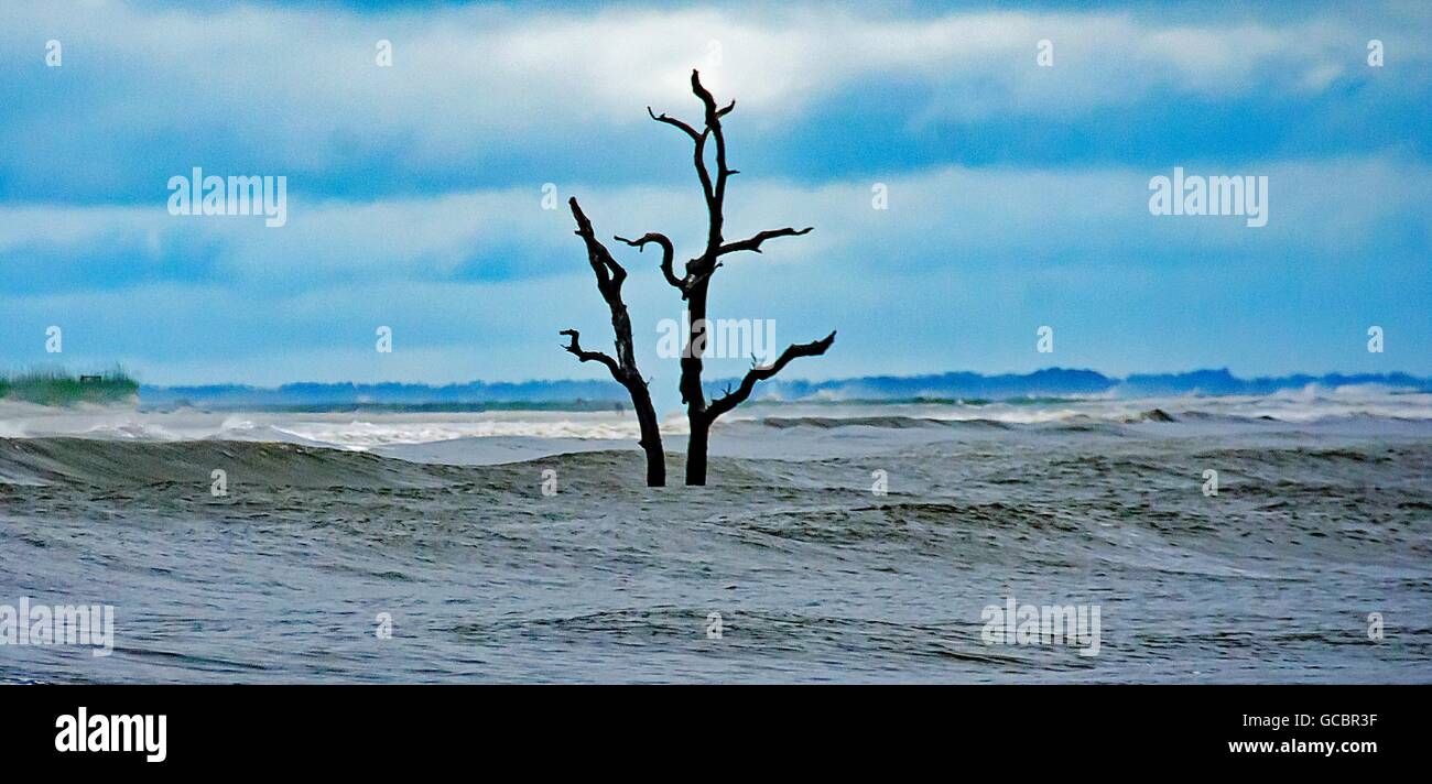 Alone tree hi-res stock photography and images - Alamy