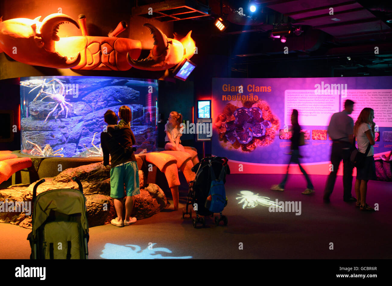 the Siam Ocean World Aquarium in the city centre in Pratunam in the ...