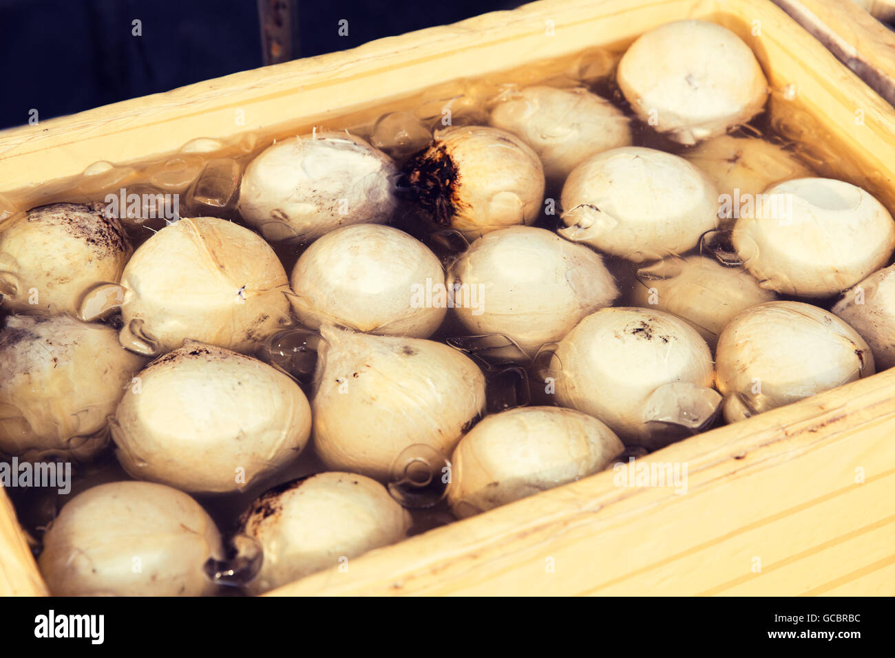food sale at street market Stock Photo - Alamy