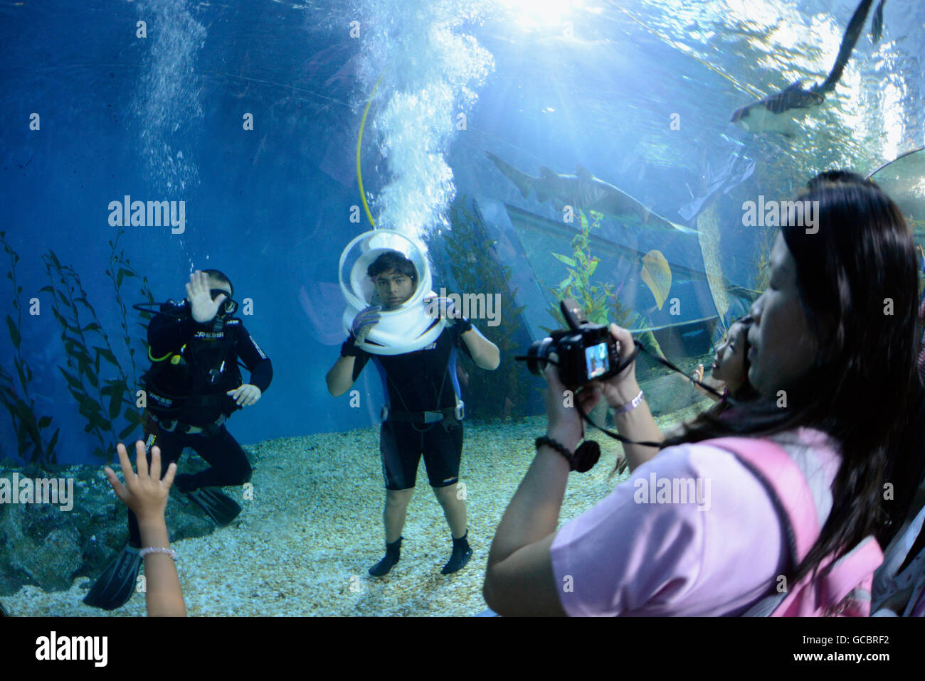the Siam Ocean World Aquarium in the city centre in Pratunam in the ...