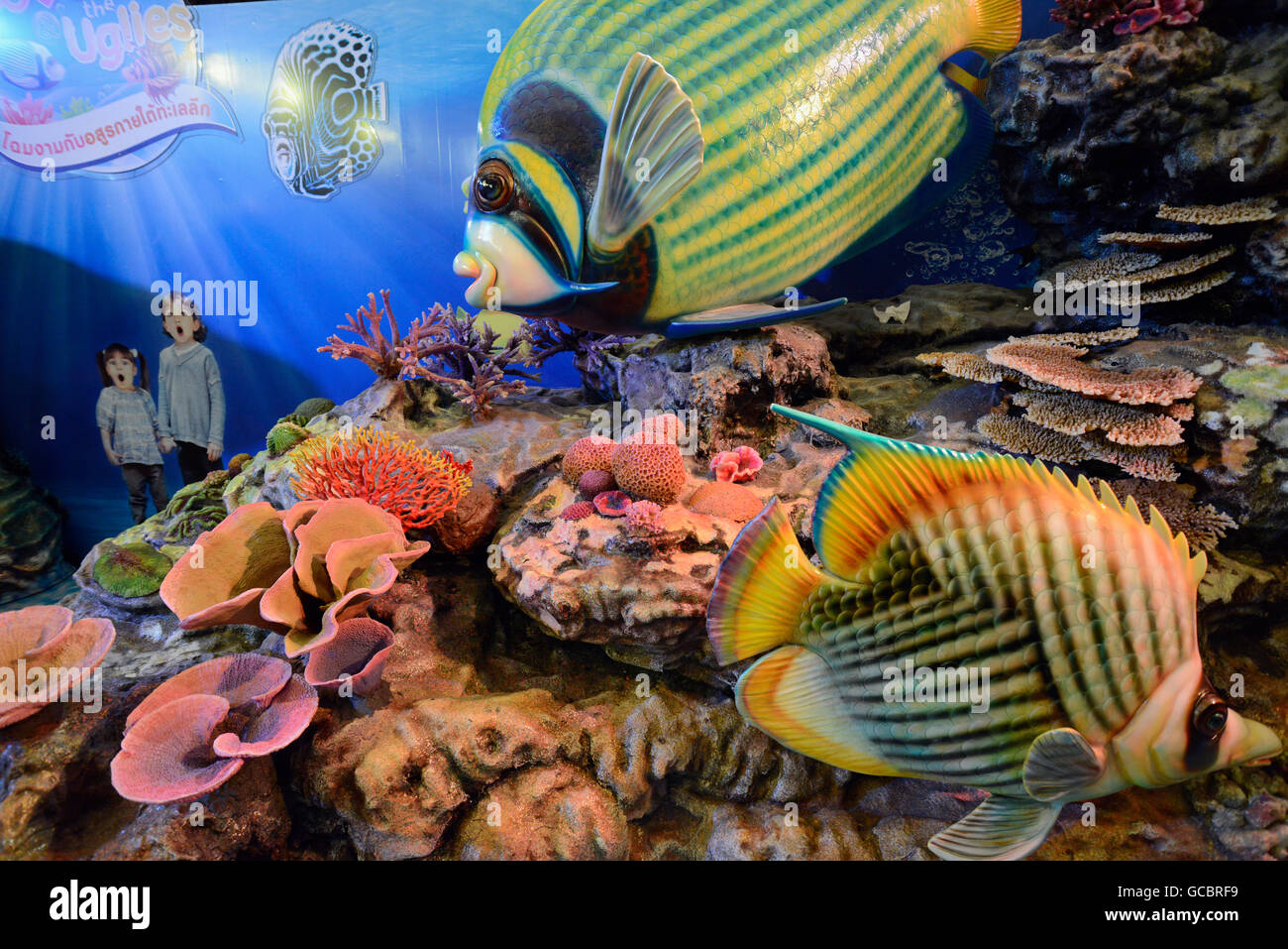 the Siam Ocean World Aquarium in the city centre in Pratunam in the ...