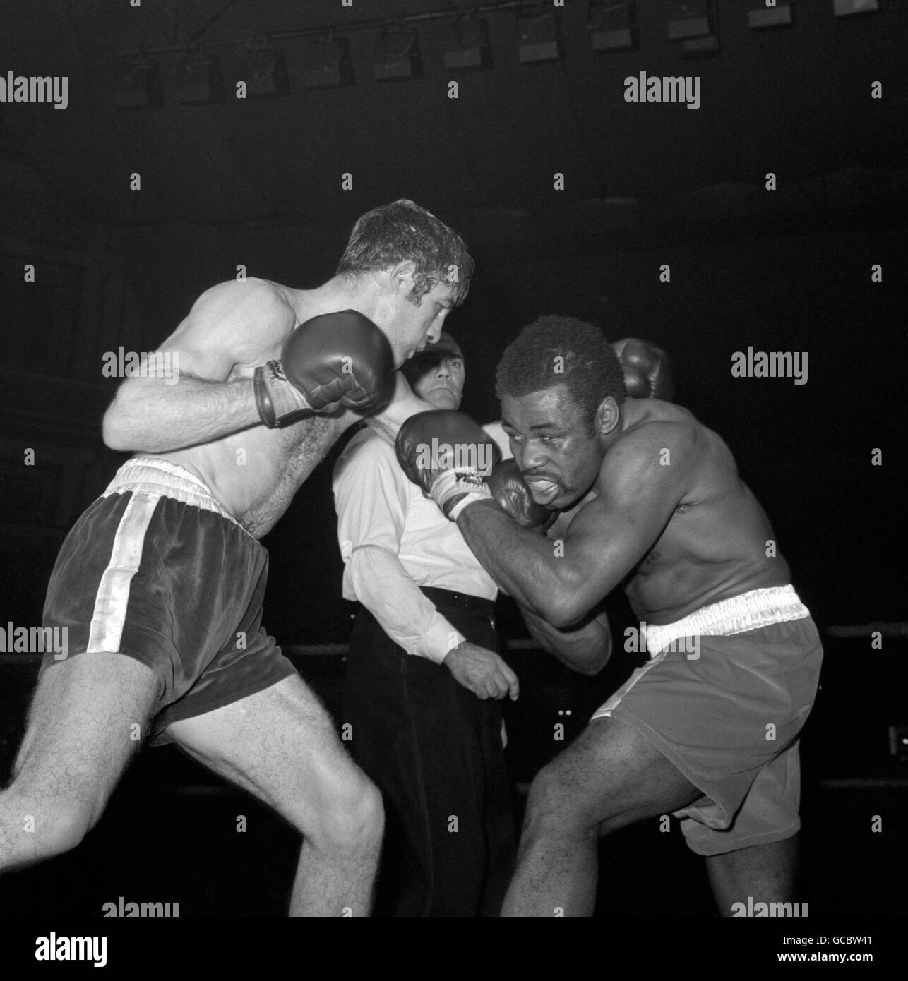 Albert Rowe High Resolution Stock Photography and Images - Alamy