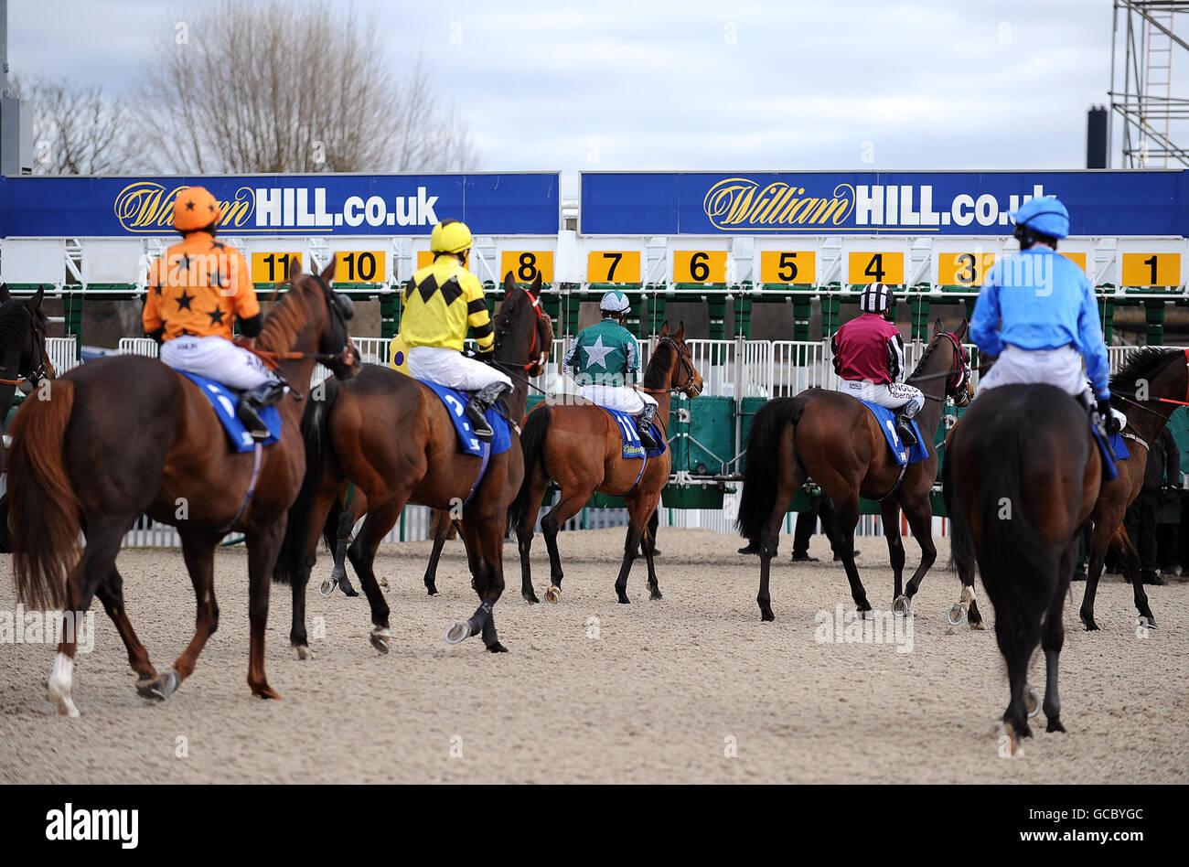 Lady wulfruna stakes hi-res stock photography and images - Alamy
