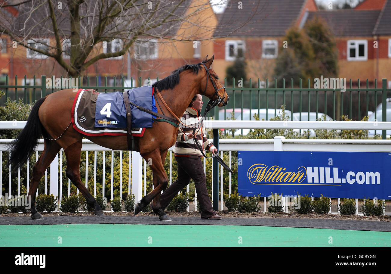 A horse is walked through the parade ring hi-res stock photography and ...