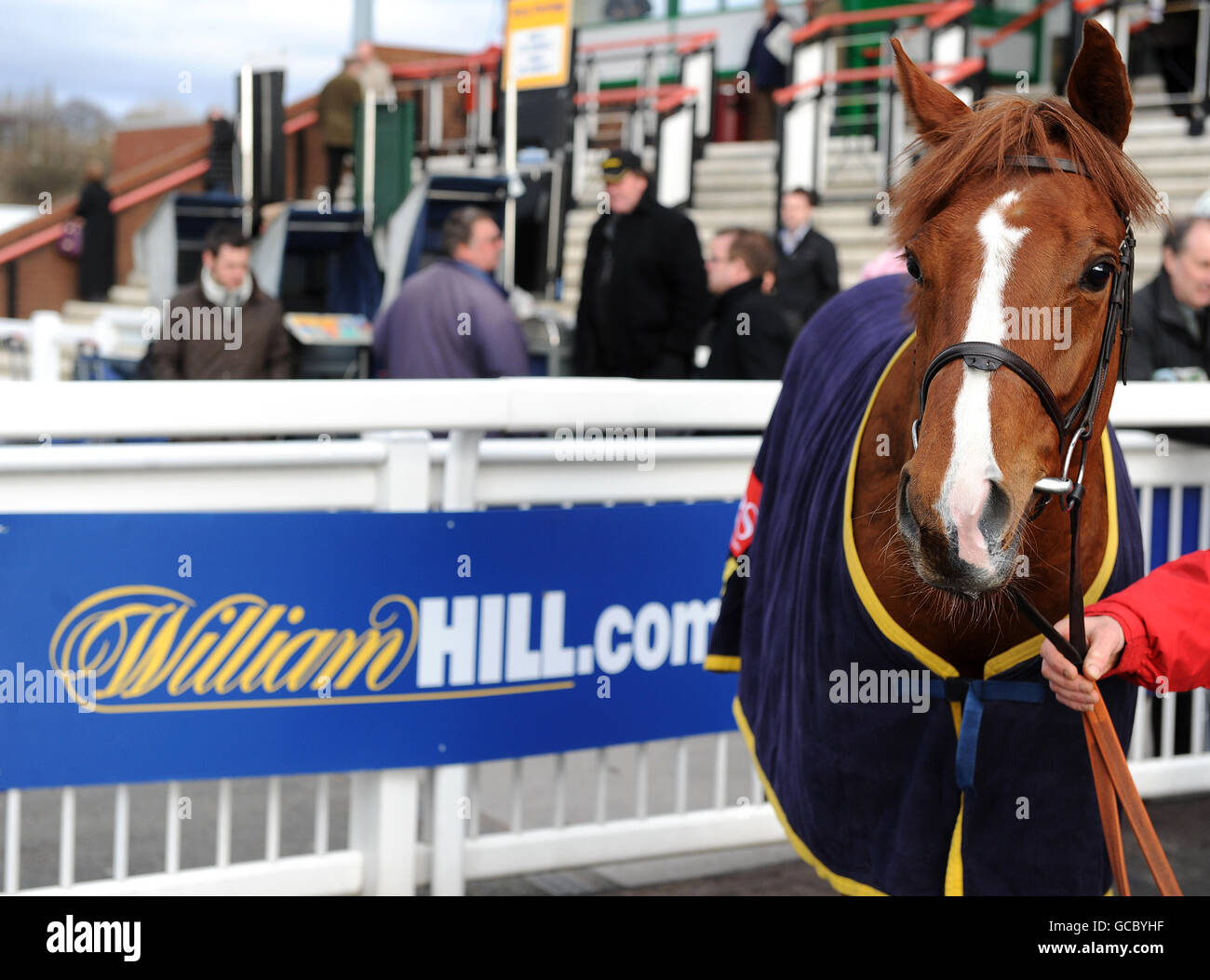 Horse racing races com william hill branding signage sponsor board hi ...