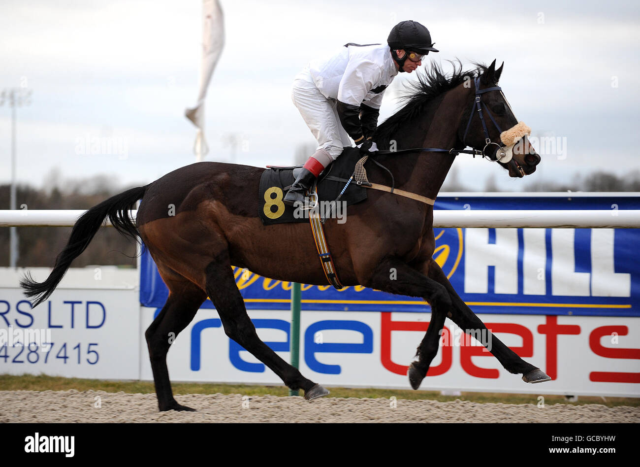 Horse Racing - William Hill Lincoln Trial Day - Wolverhampton ...