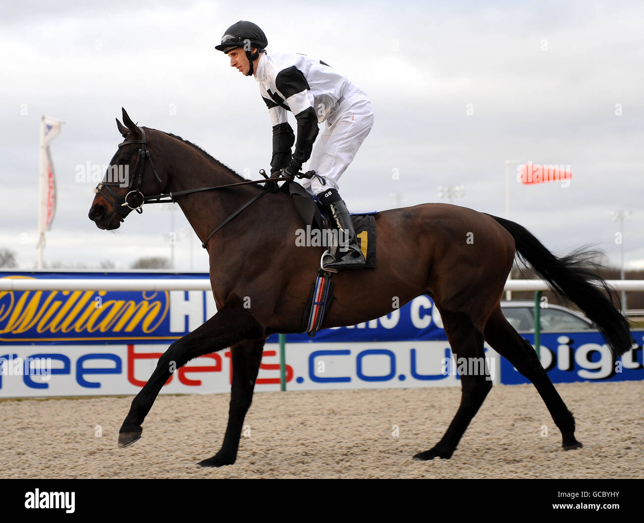 Horse Racing - William Hill Lincoln Trial Day - Wolverhampton ...