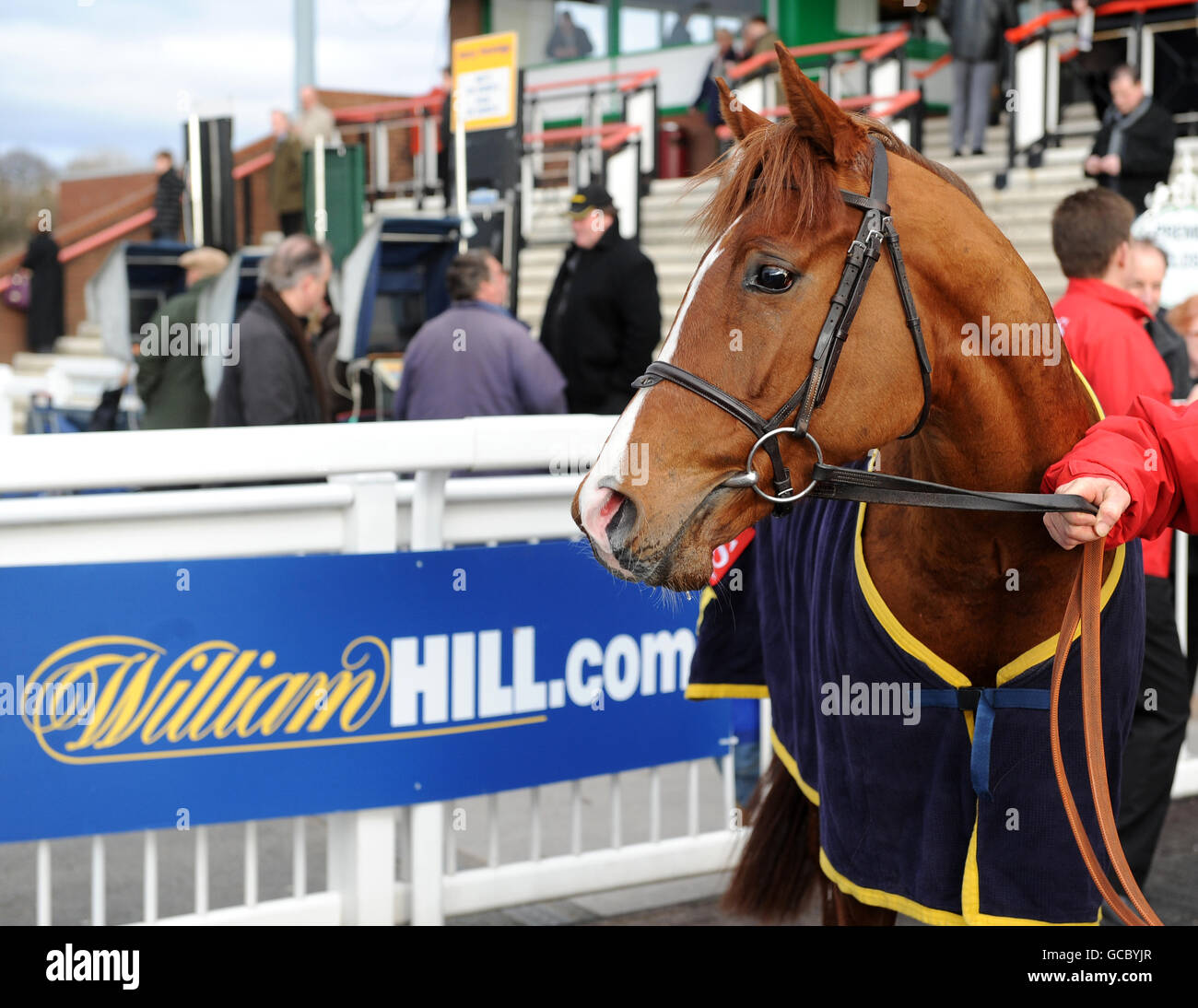 Horse Racing - William Hill Lincoln Trial Day - Wolverhampton ...