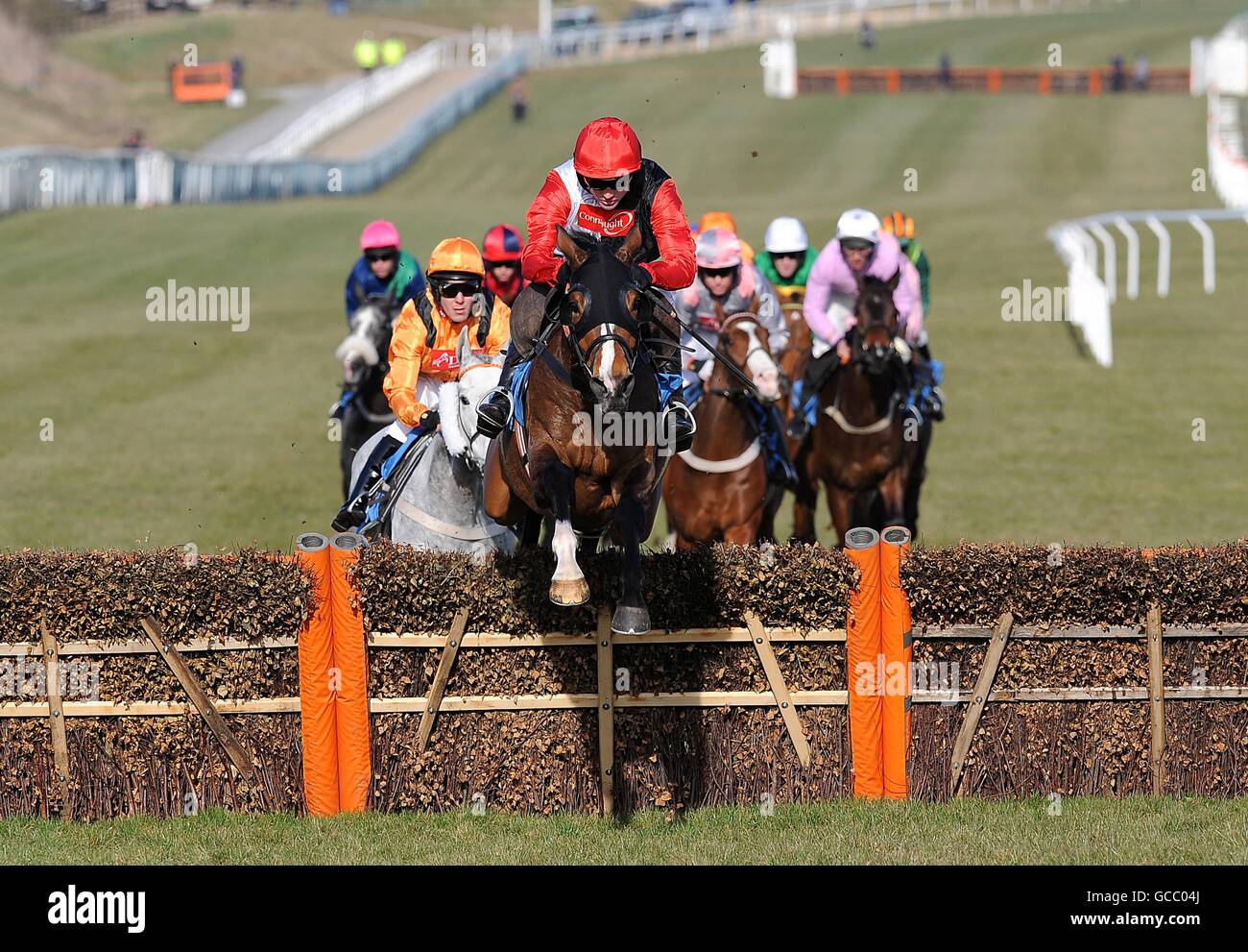 Ruby walsh champion jockey hi-res stock photography and images - Alamy