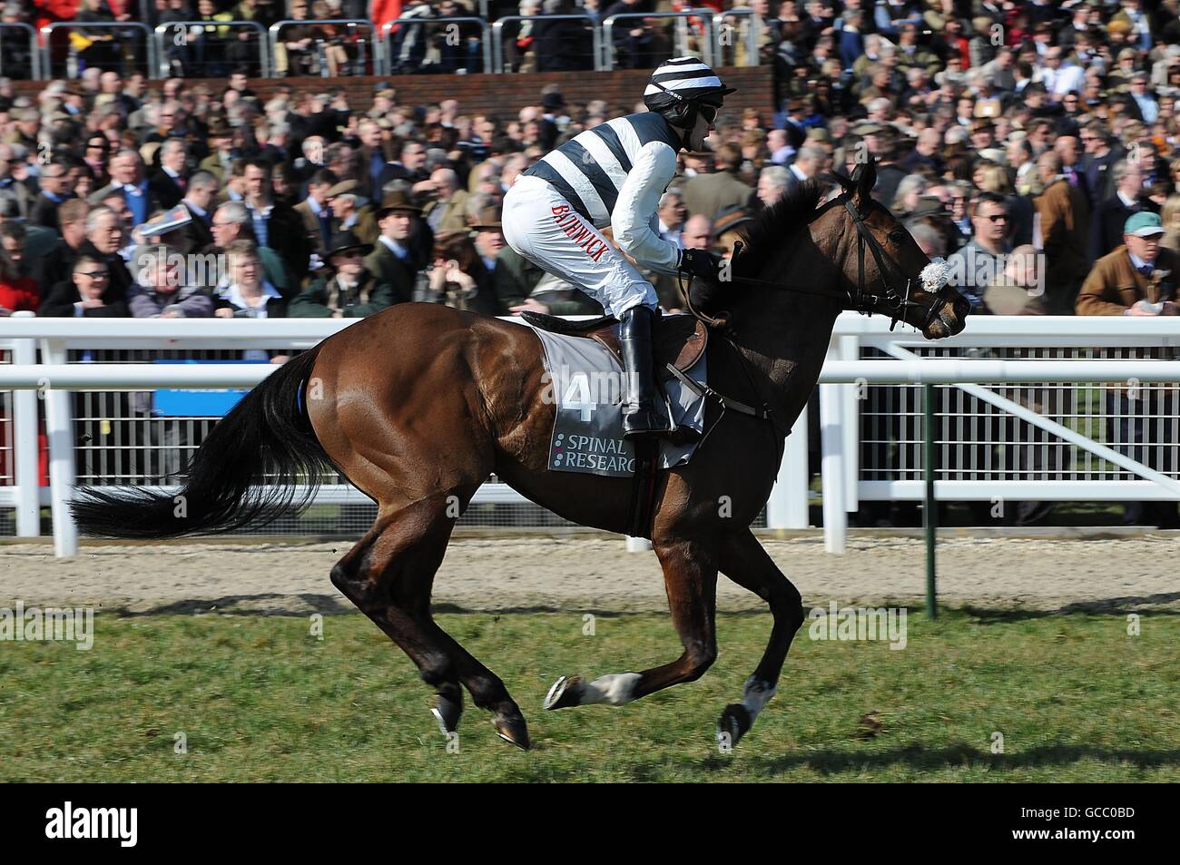 Dan Breen ridden by Tom Scudamore going to post for the Spinal Research ...