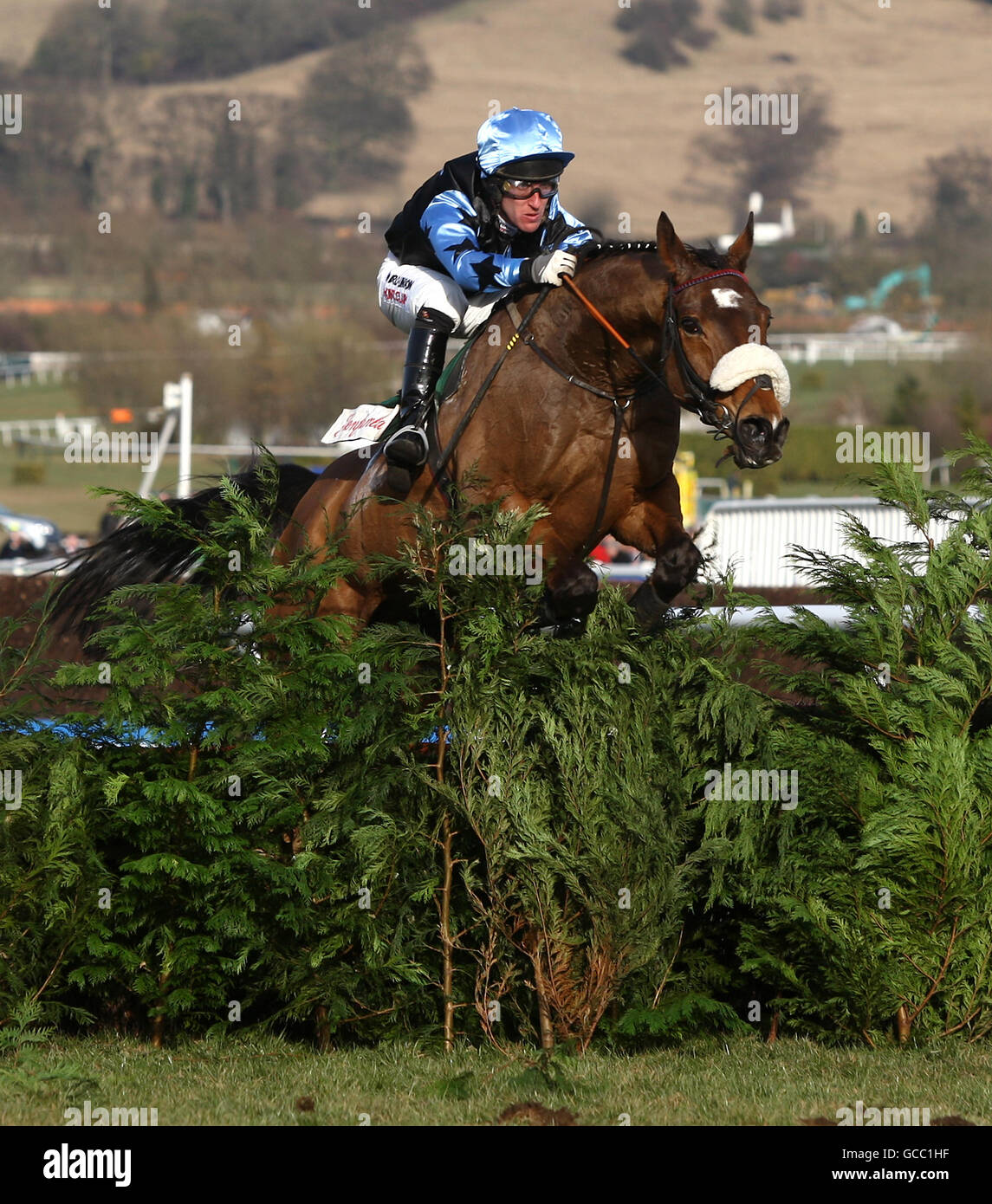 Silver birch ridden jockey robbie hi-res stock photography and images ...