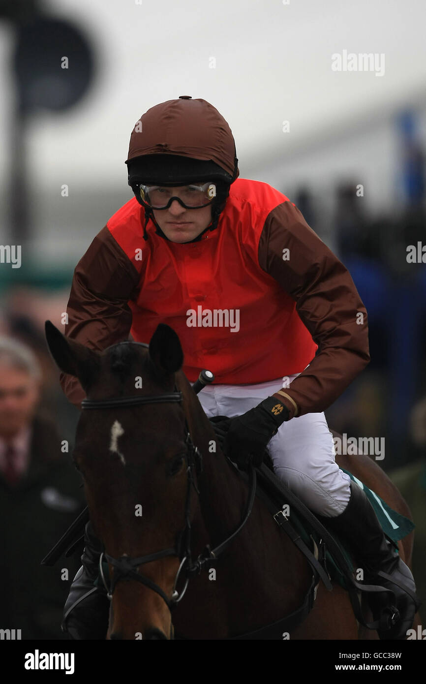 David maxwell jockey hi-res stock photography and images - Alamy