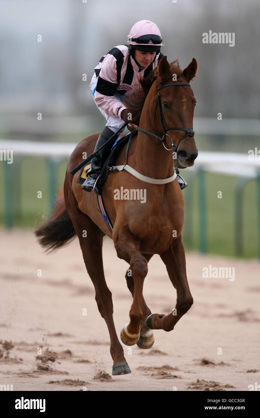 Hayley turner racing league hi-res stock photography and images - Alamy