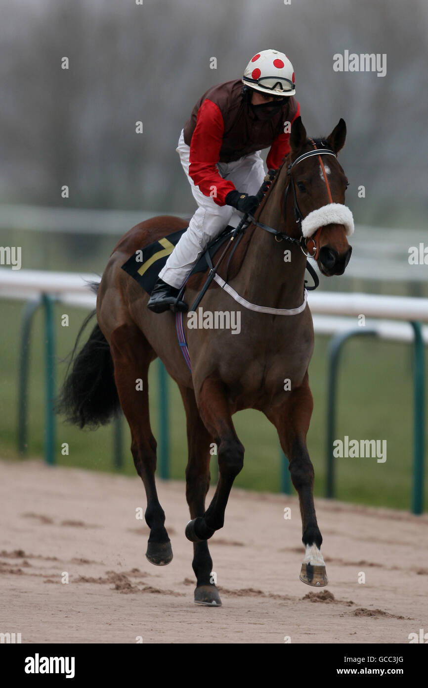 Jockey Chris Catlin on Step To It goes to post in the Bet Premier ...