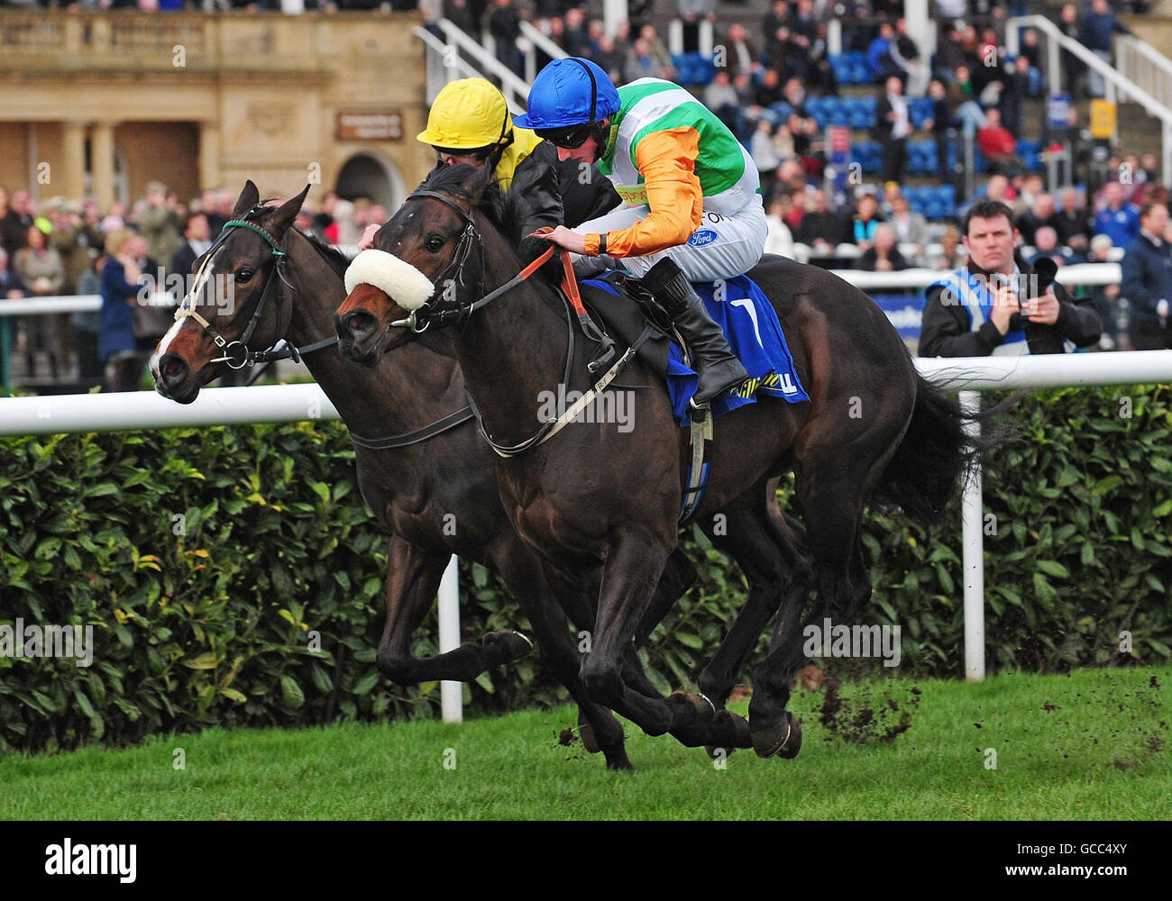 Brookie horse hi-res stock photography and images - Alamy