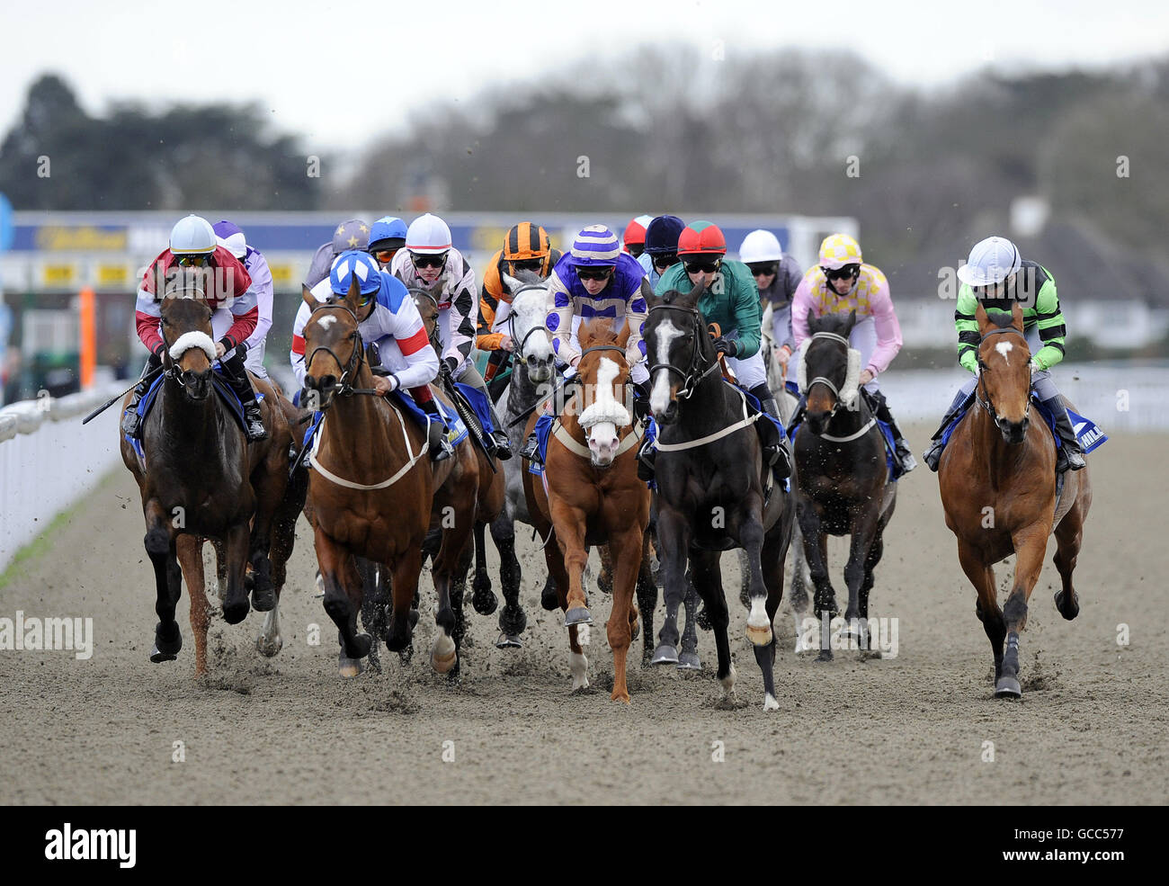 First race kempton park racecourse hi-res stock photography and images ...