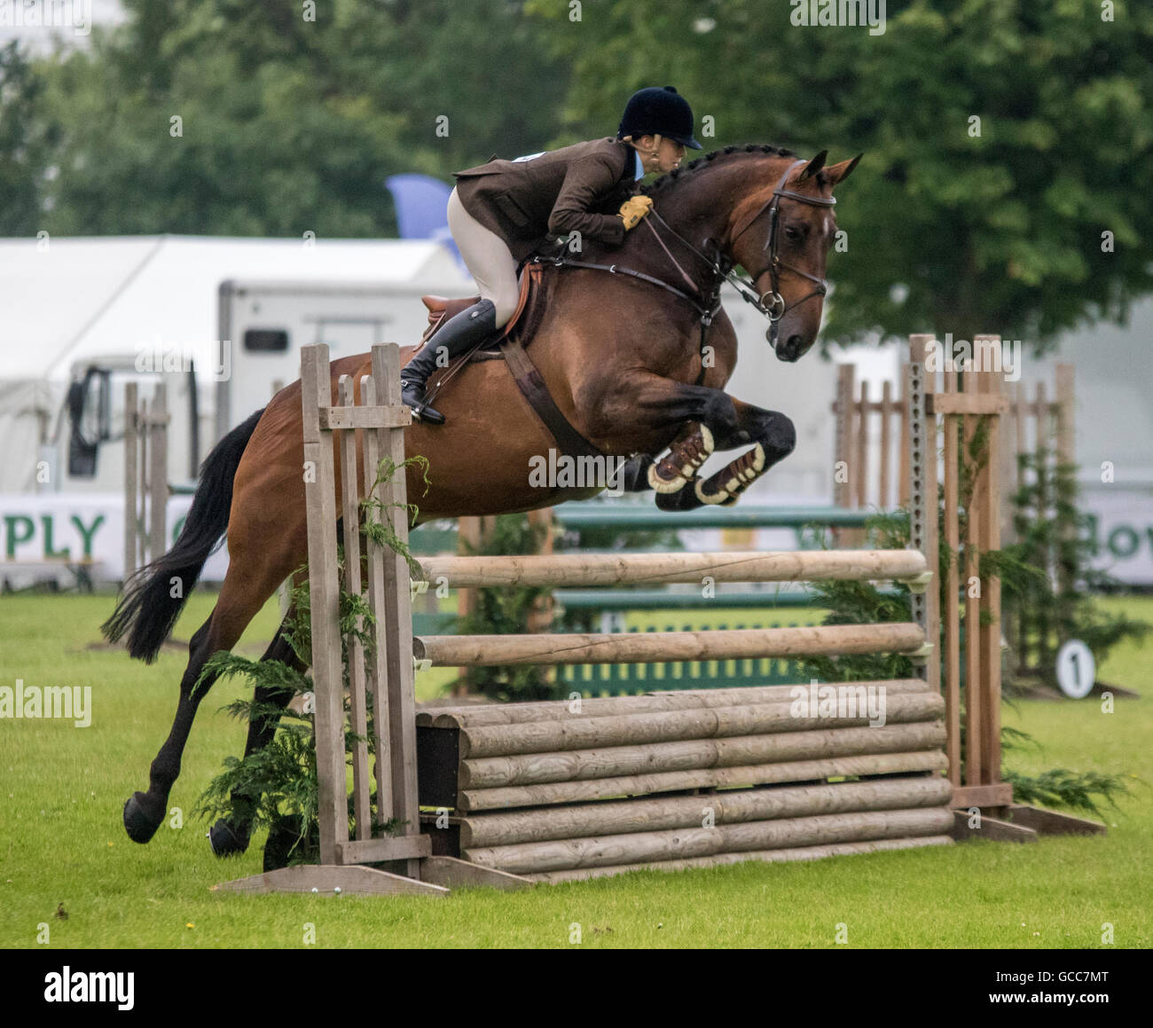 Competitor jumping in the working hunter class on the first day of the ...