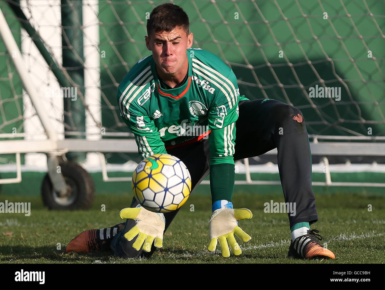 The goalkeeper Matheus, the SE Palmeiras, during training, the Football ...