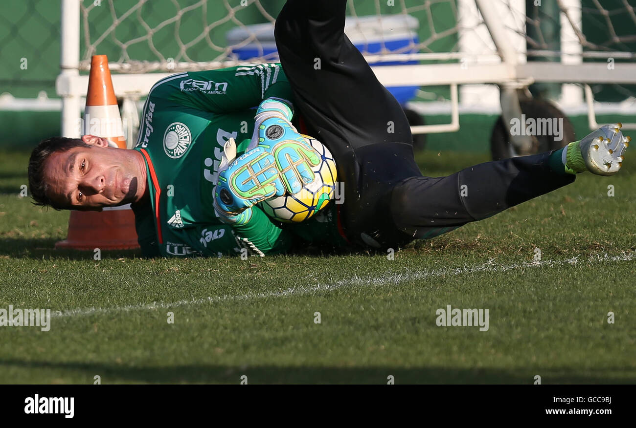 The goalkeeper Fernando Prass, SE Palmeiras, during training, the ...