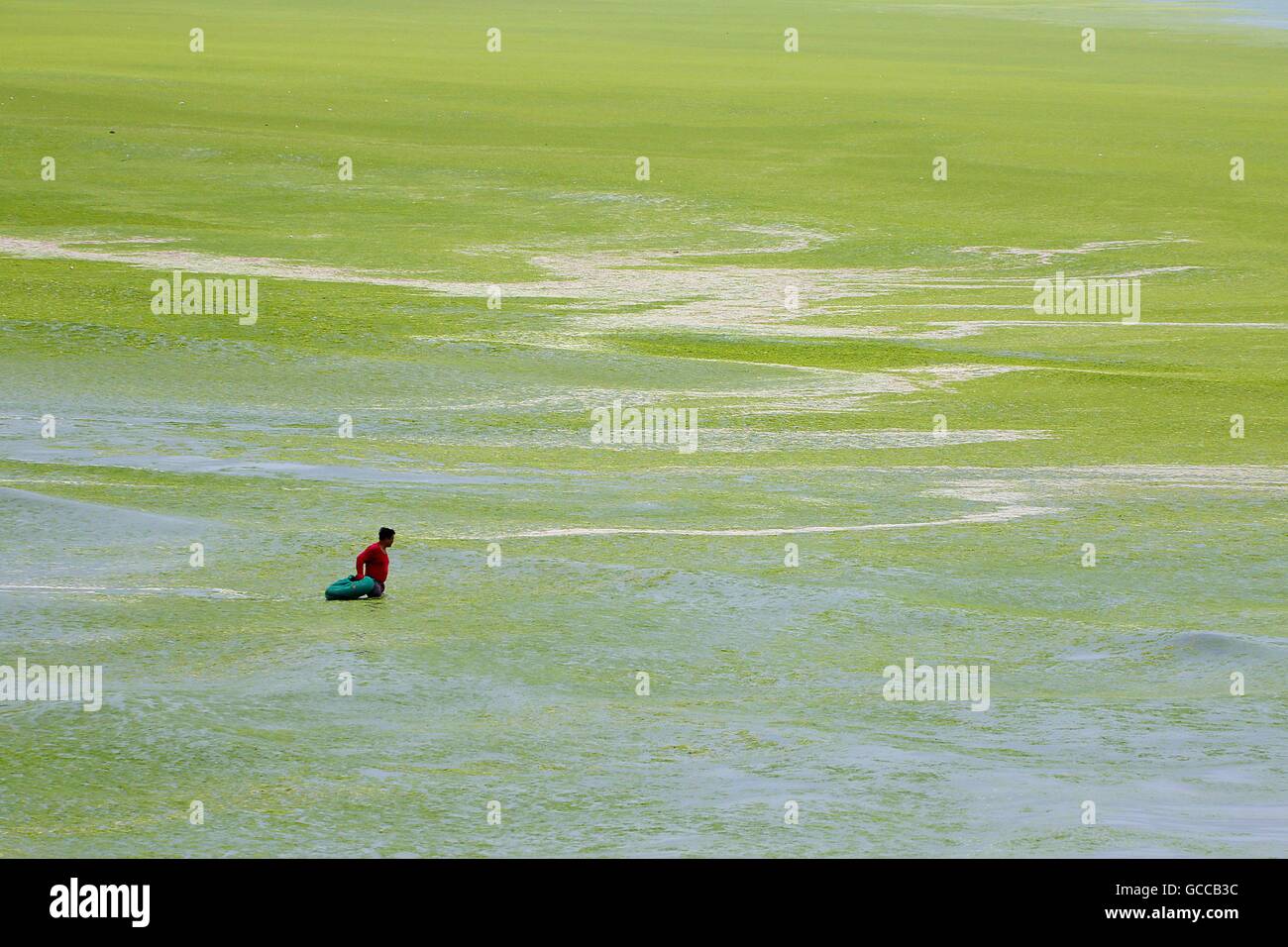 Yantai, China's Shandong Province. 8th July, 2016. Green algae cover a ...