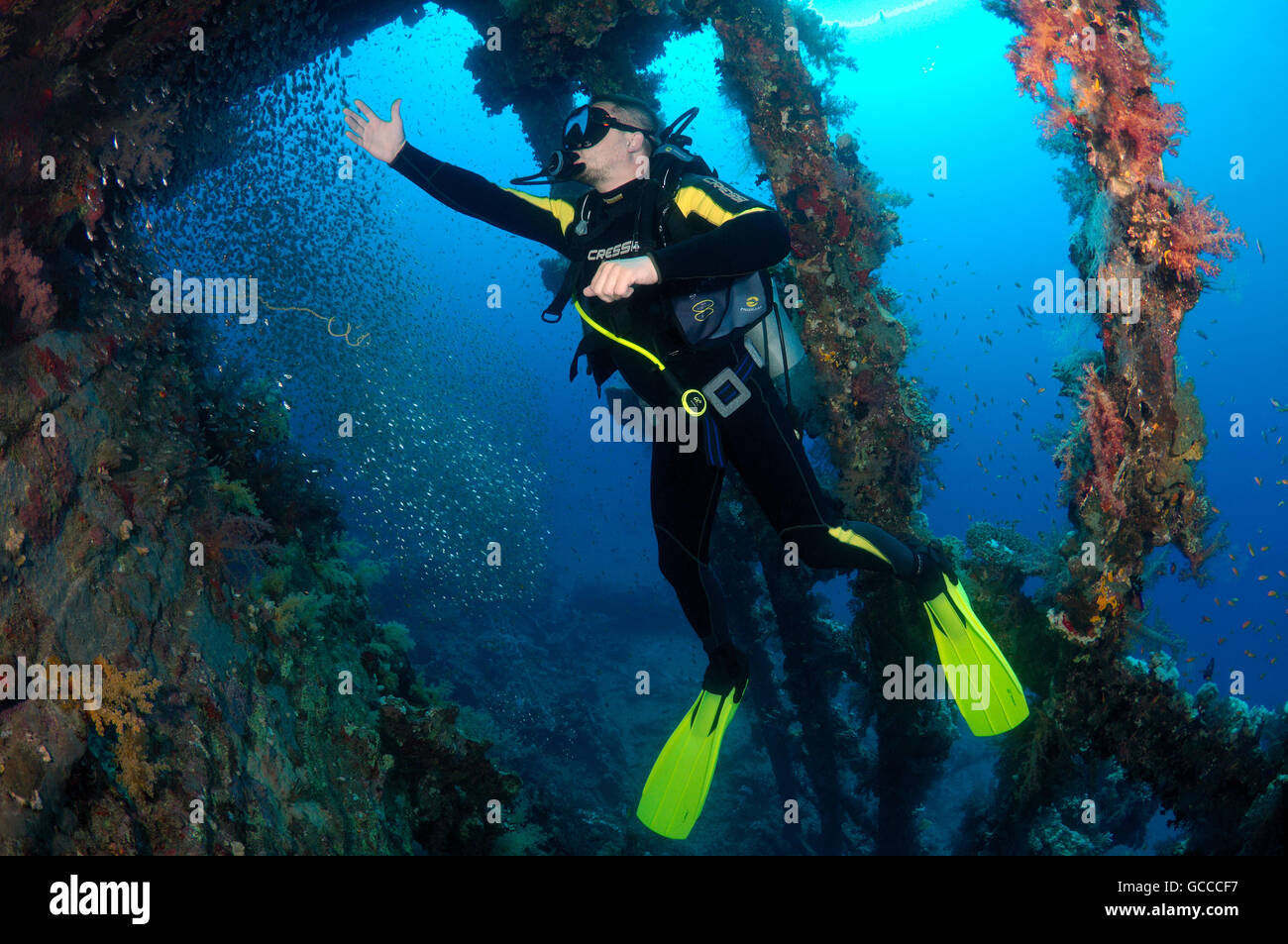 The carnatic ship wreck red sea egypt hi-res stock photography and ...