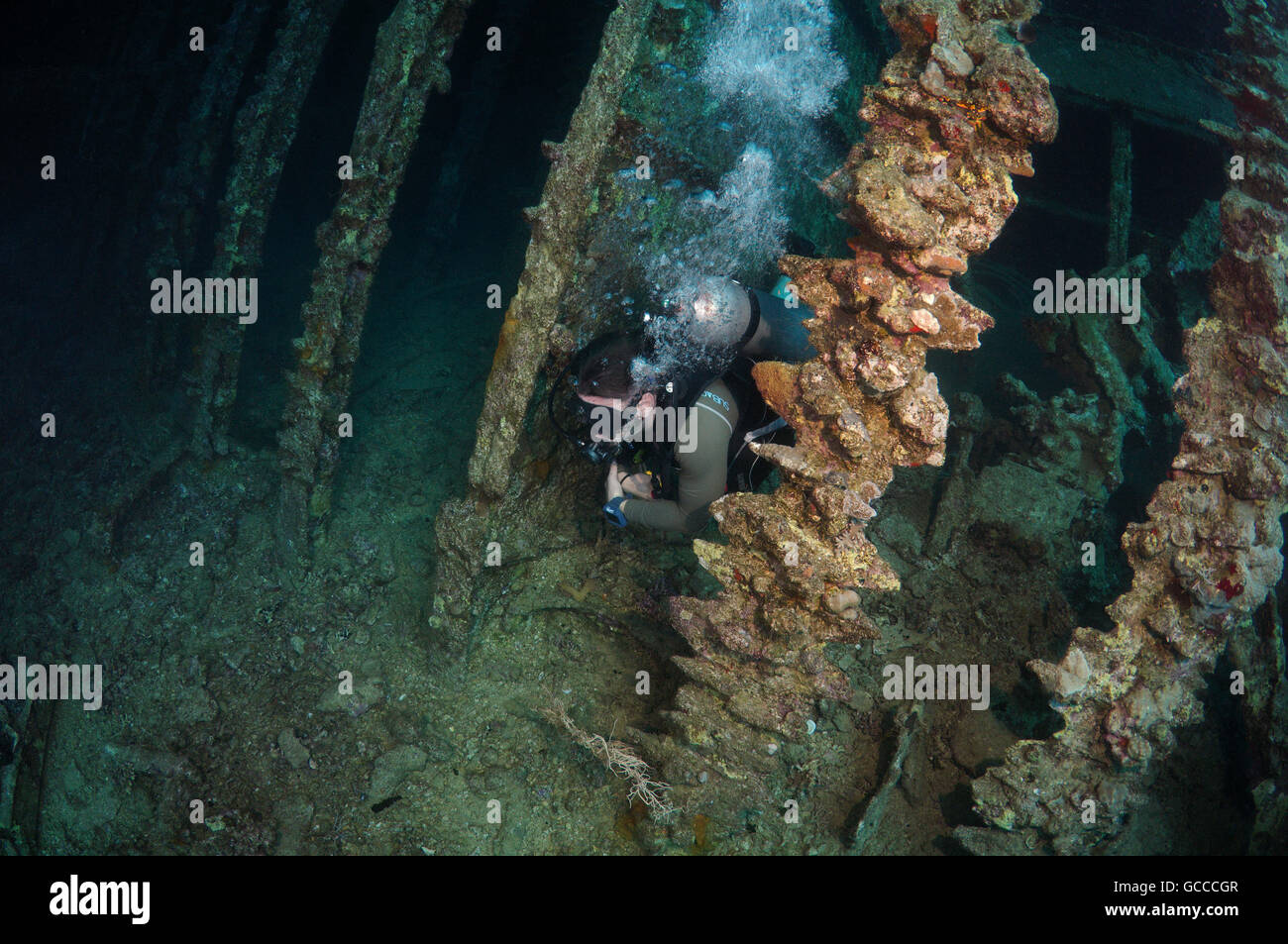 Red Sea, Egypt, Egypt. 3rd Mar, 2016. Male scuba diver inside the wreck ...