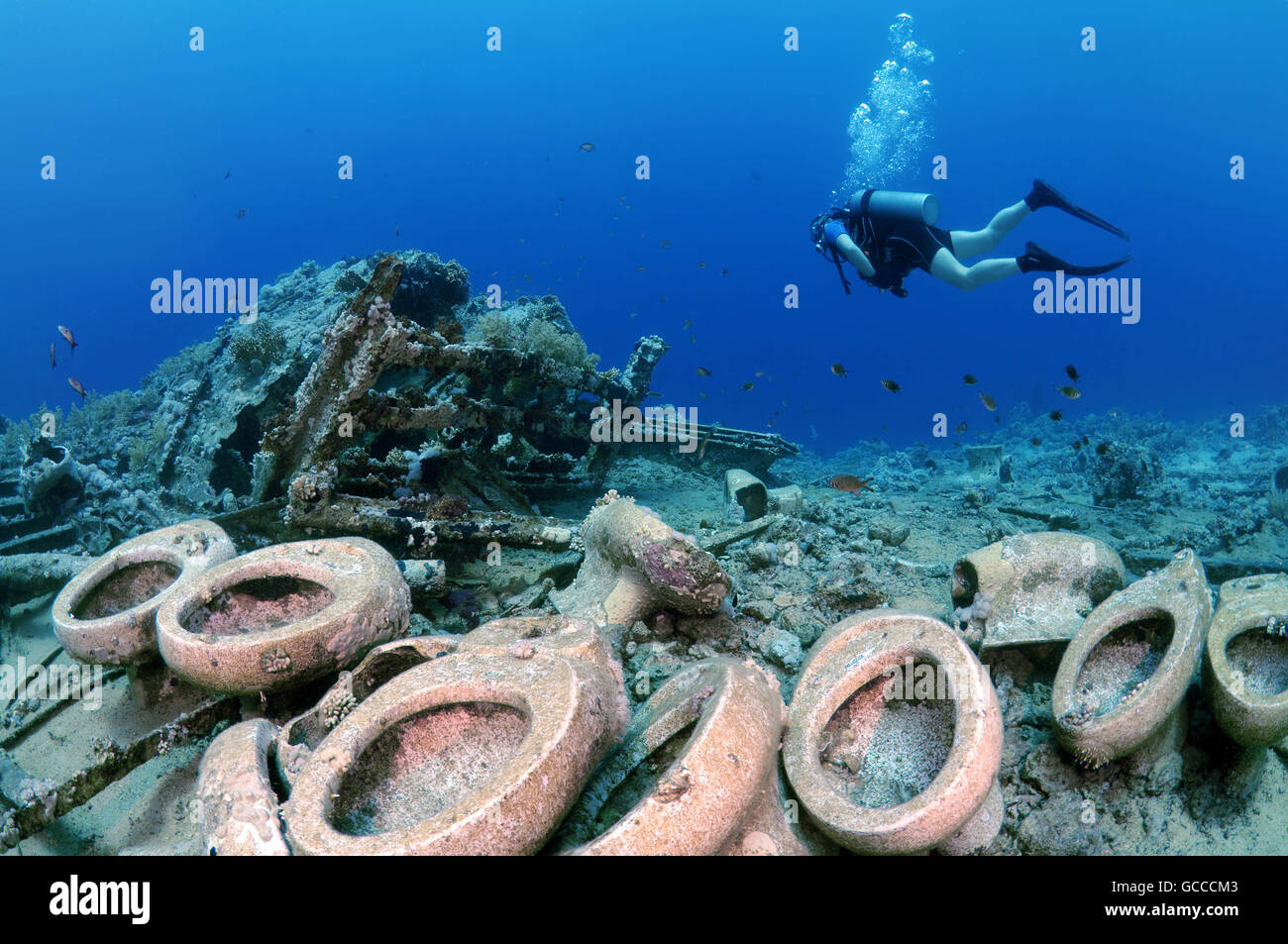 Red Sea, Egypt, Egypt. 3rd Mar, 2016. Male Scuba diver looking at the ...