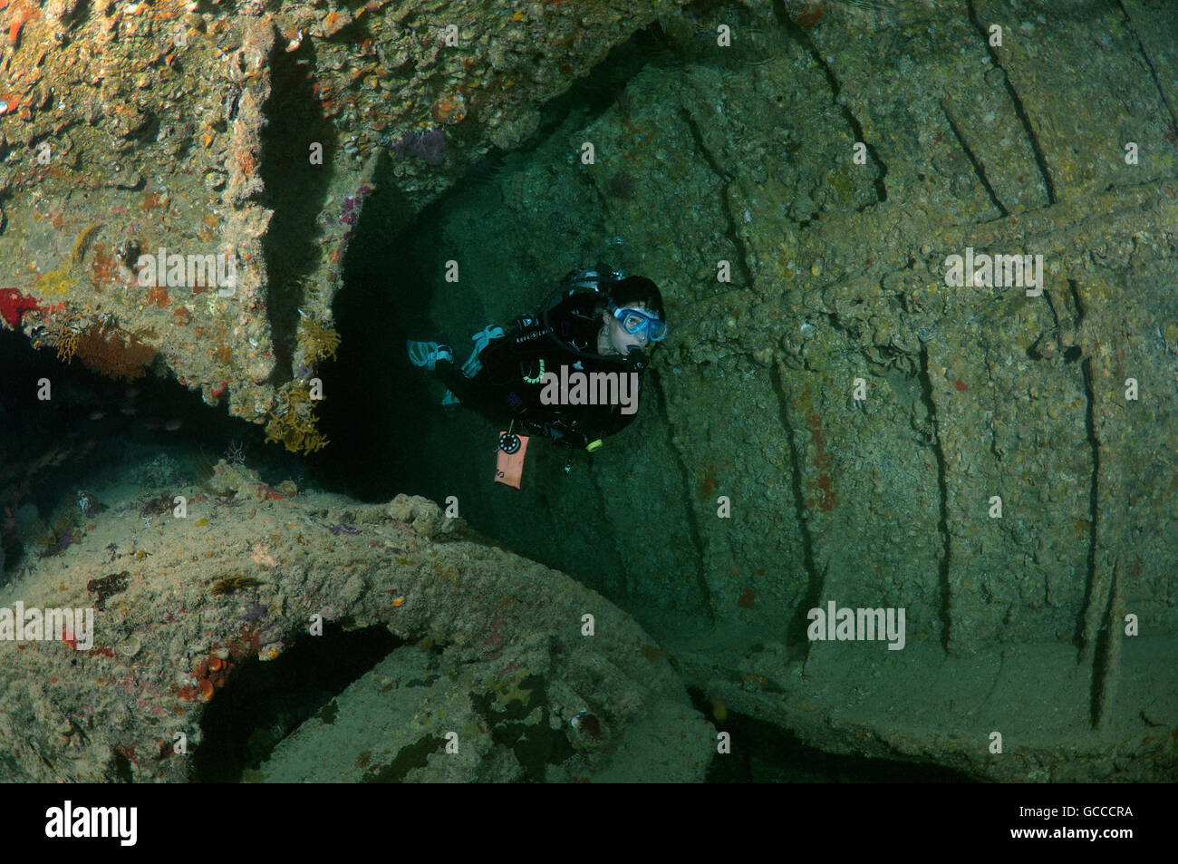 Red Sea, Egypt, Egypt. 3rd Mar, 2016. Female scuba diver inside the ...