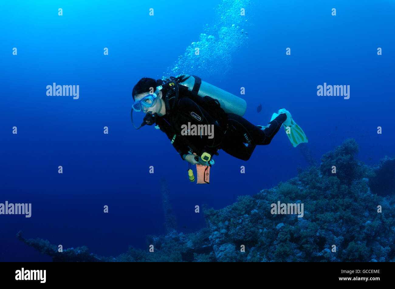 Red Sea, Egypt. 3rd Mar, 2016. Female scuba diver with a coral reef ...