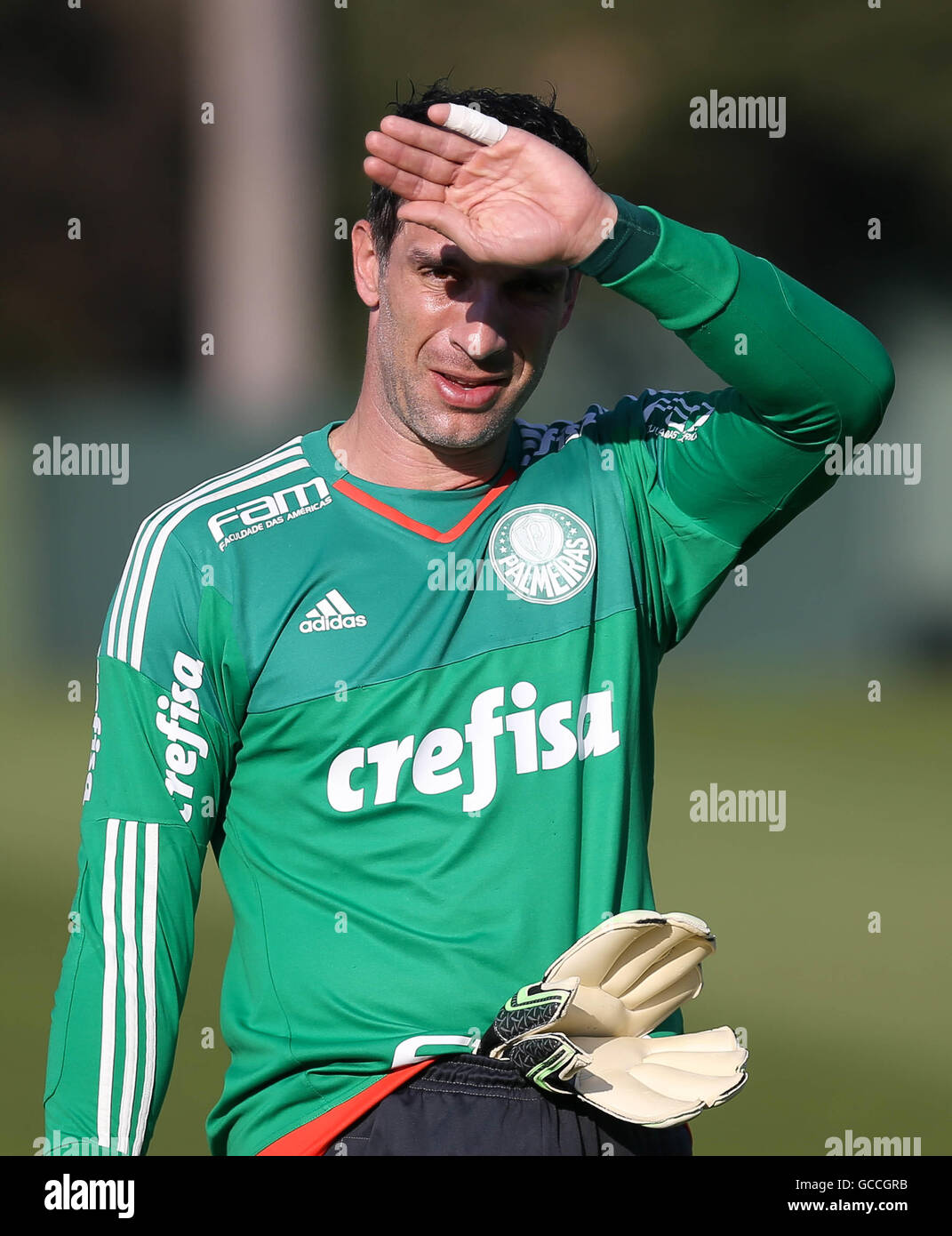 The goalkeeper Fernando Prass, SE Palmeiras, during training, the ...