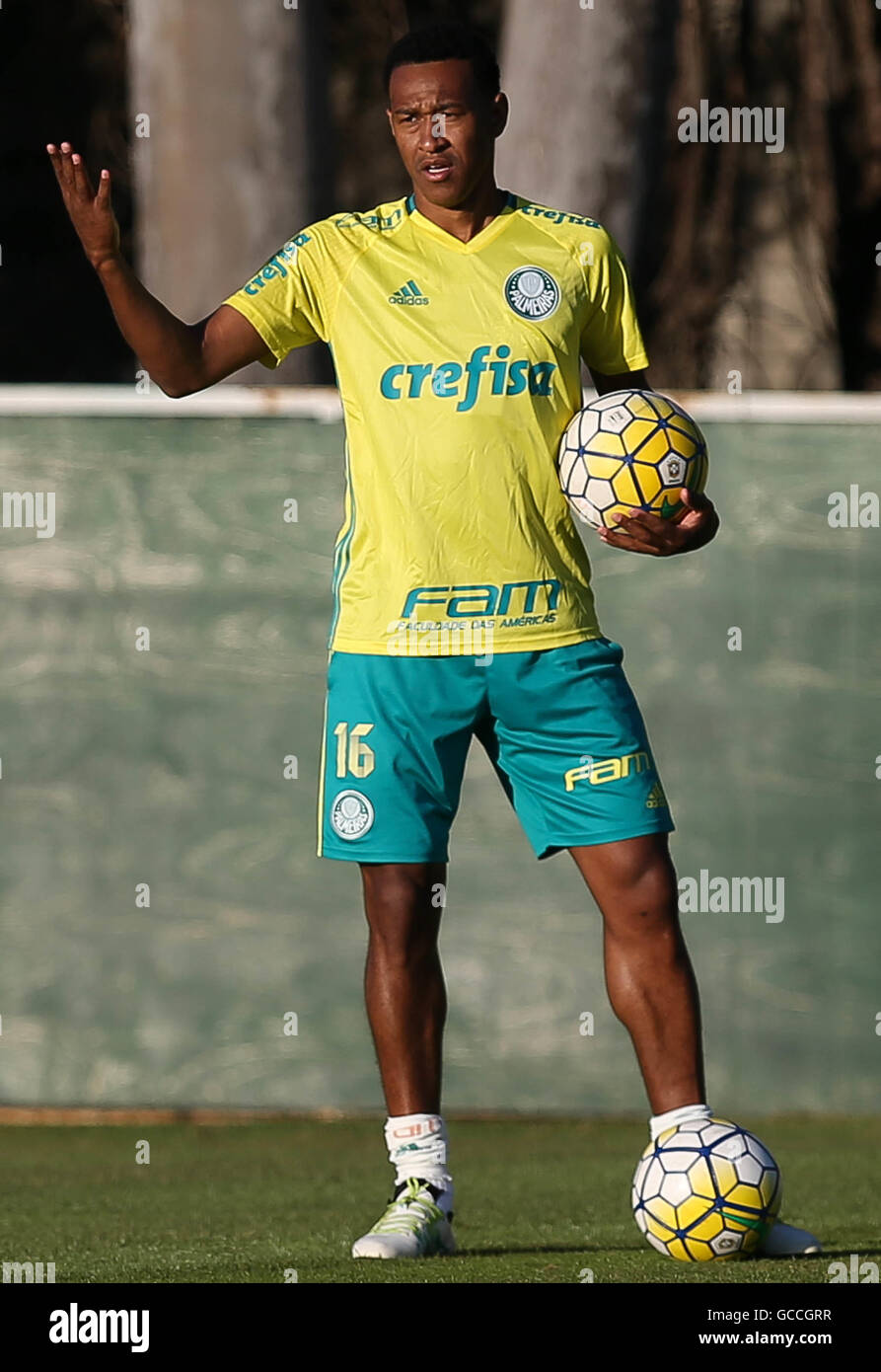 The Fabricio player, SE Palmeiras, during training, the Football ...