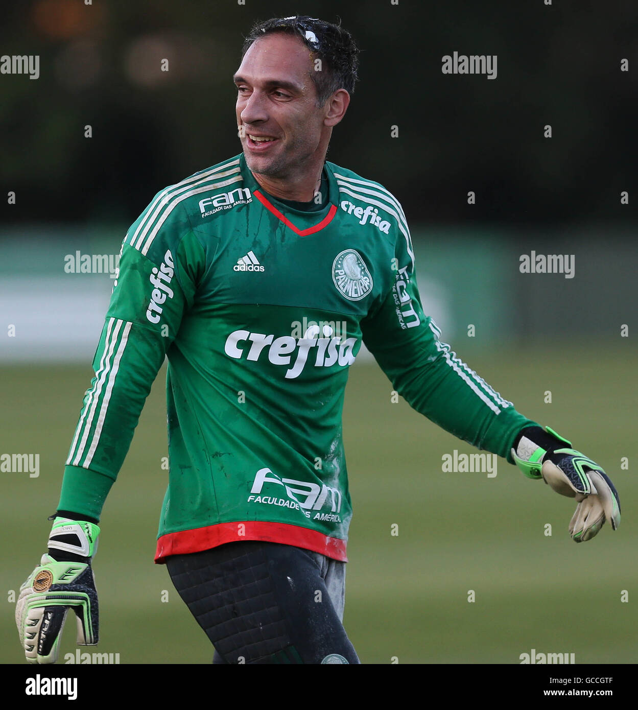 The goalkeeper Fernando Prass, the SE Palmeiras is ovada target in ...