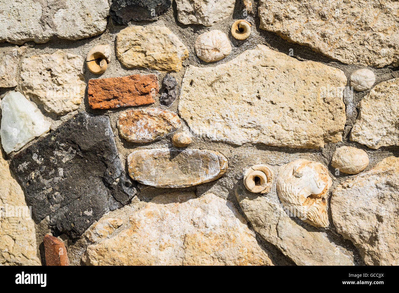 Stone fossils hi-res stock photography and images - Alamy