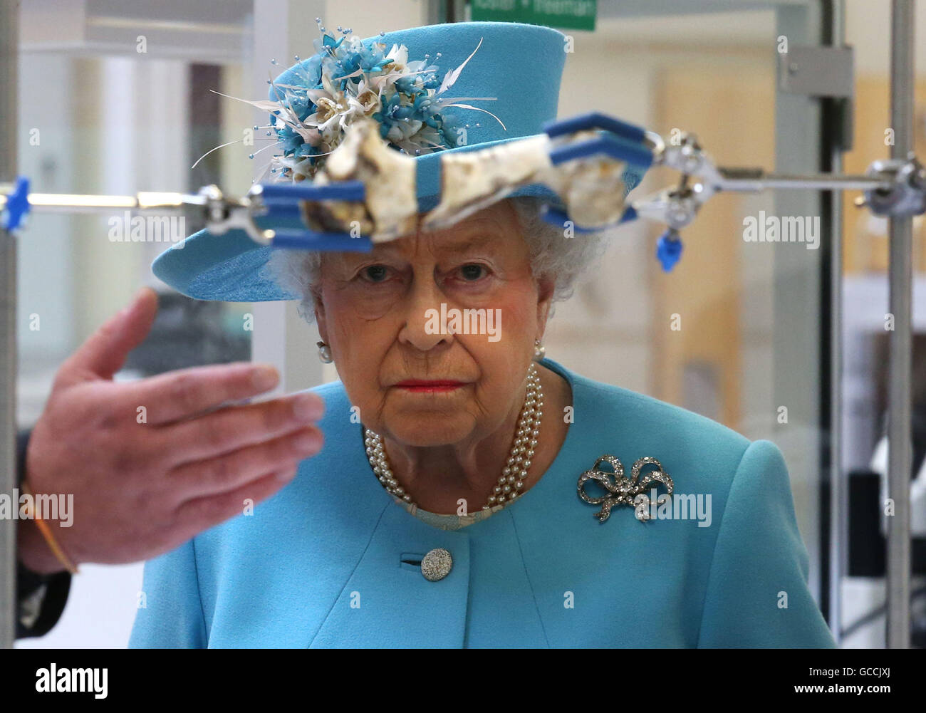 Shown bone cut using hi-res stock photography and images - Alamy