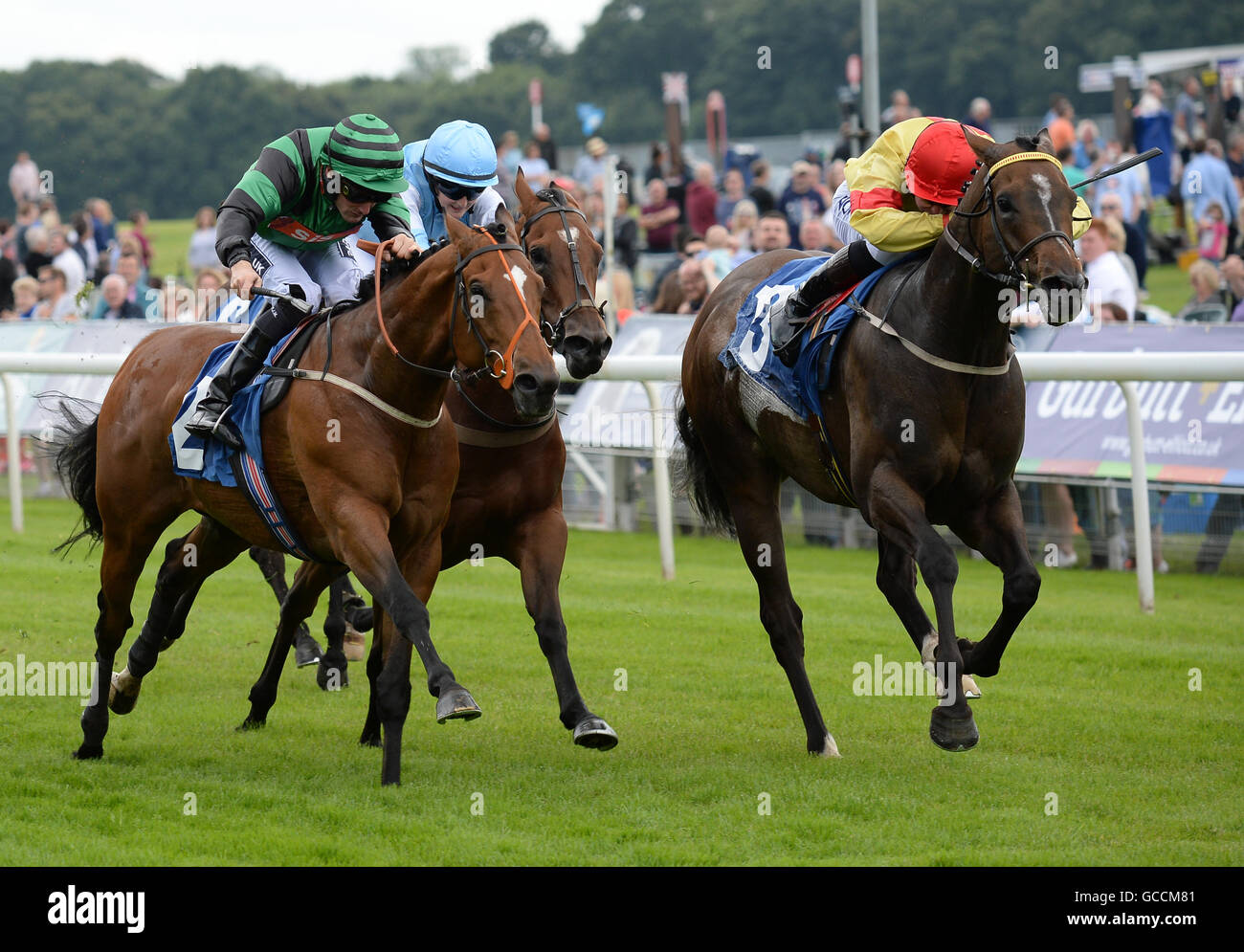 Delphini High Resolution Stock Photography and Images - Alamy