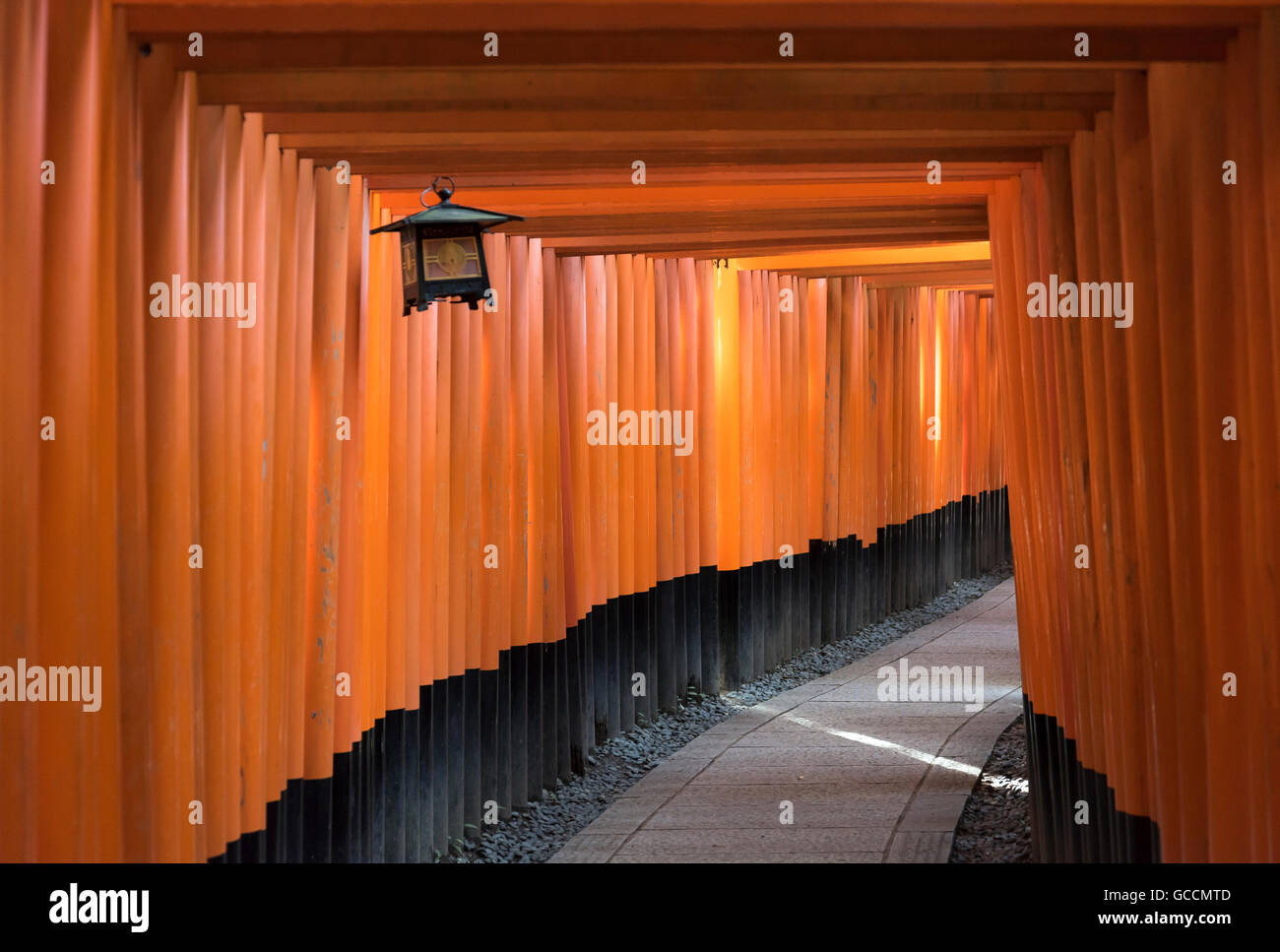 Lantern along the pathway lined with torii gates at Fushimi Inari ...