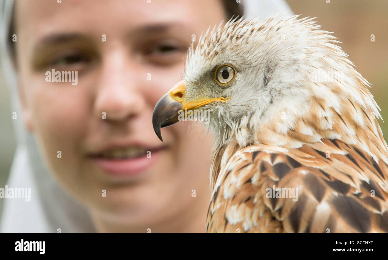 King edwards school hi-res stock photography and images - Alamy