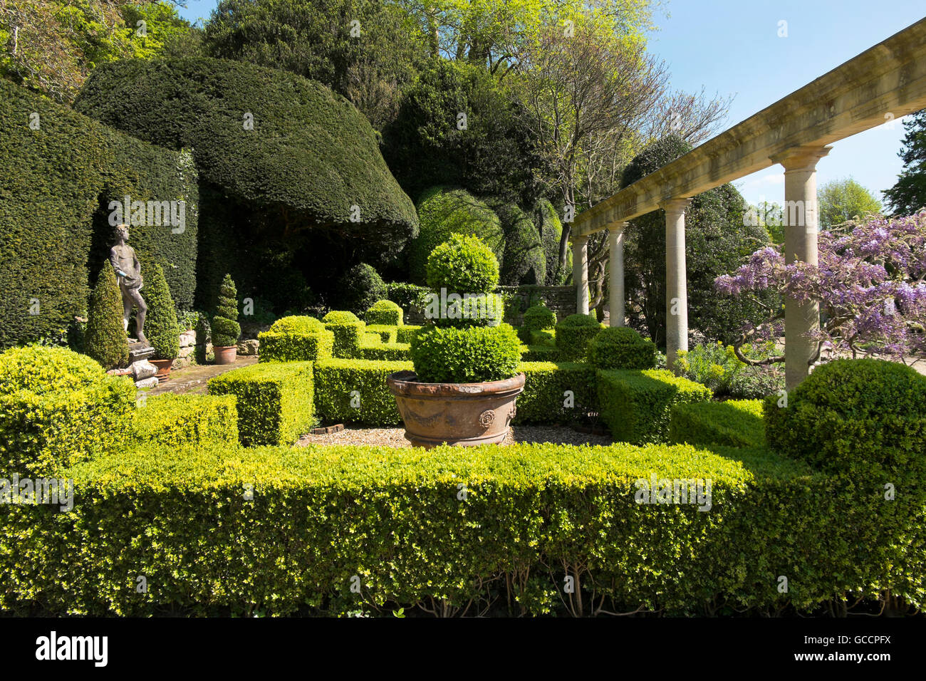 Box Hedges High Resolution Stock Photography and Images - Alamy