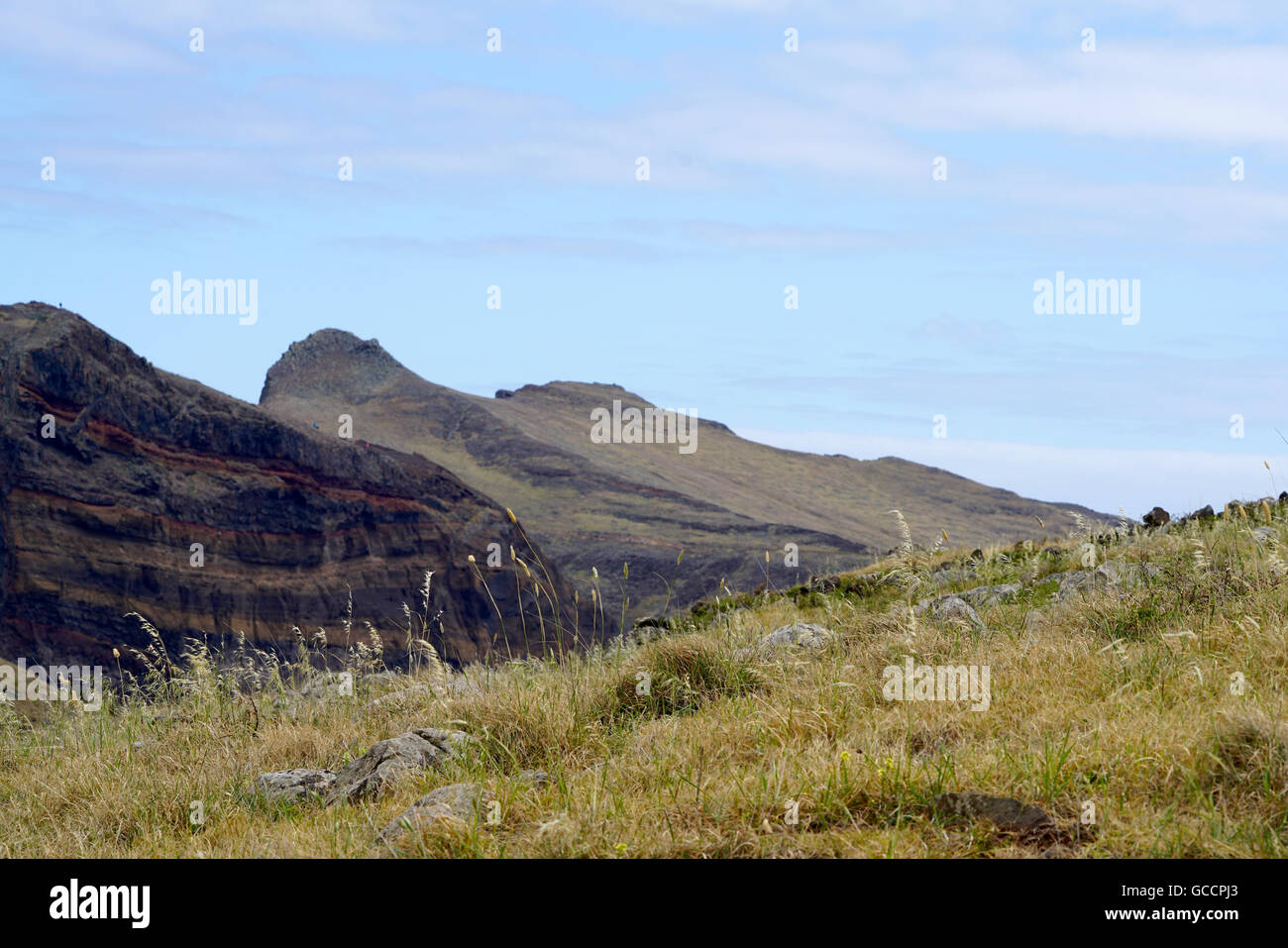 Portugal spain madeira hi-res stock photography and images - Alamy