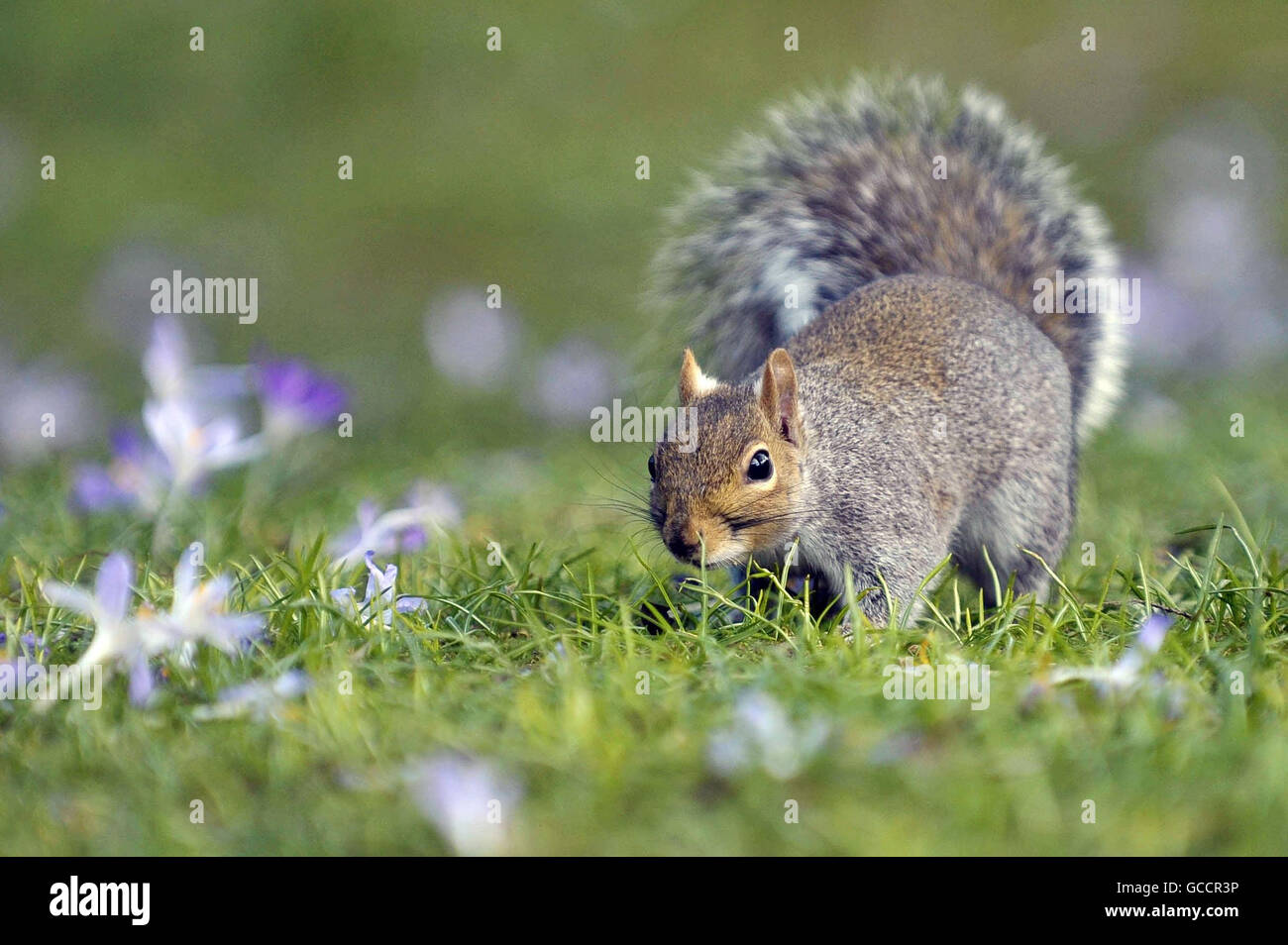 Weather spring hli wip hi-res stock photography and images - Alamy