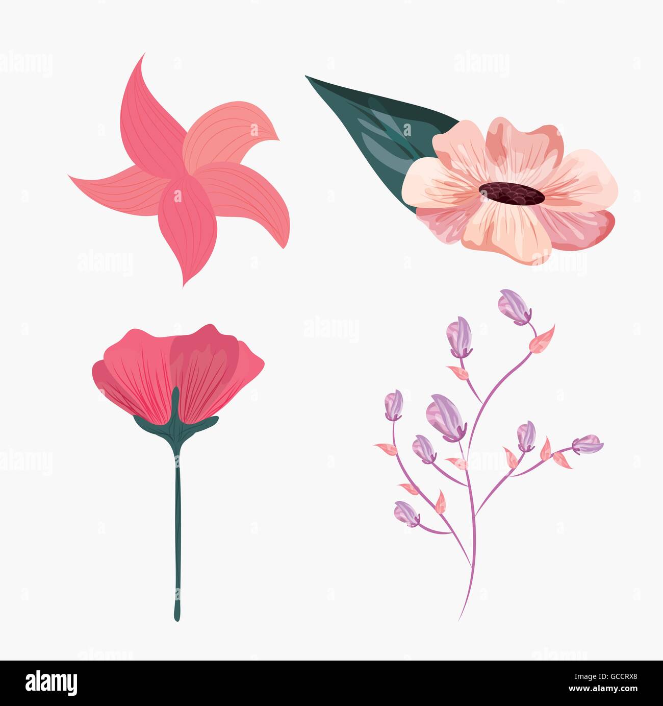 Drawing flower icon. Floral design. Vector graphic Stock Vector Image ...