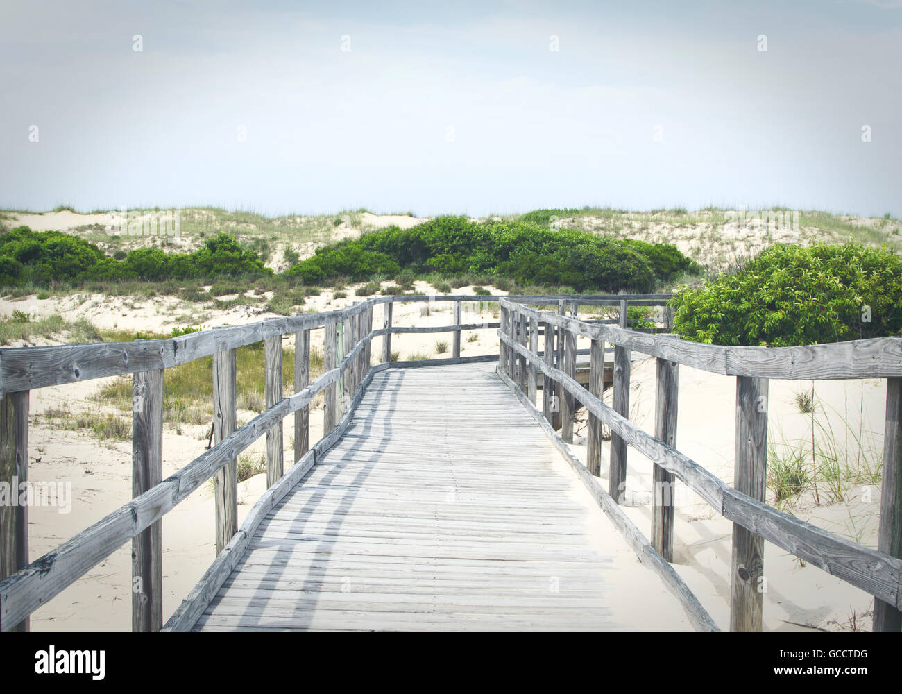 First Landing State Park, park trail Stock Photo - Alamy