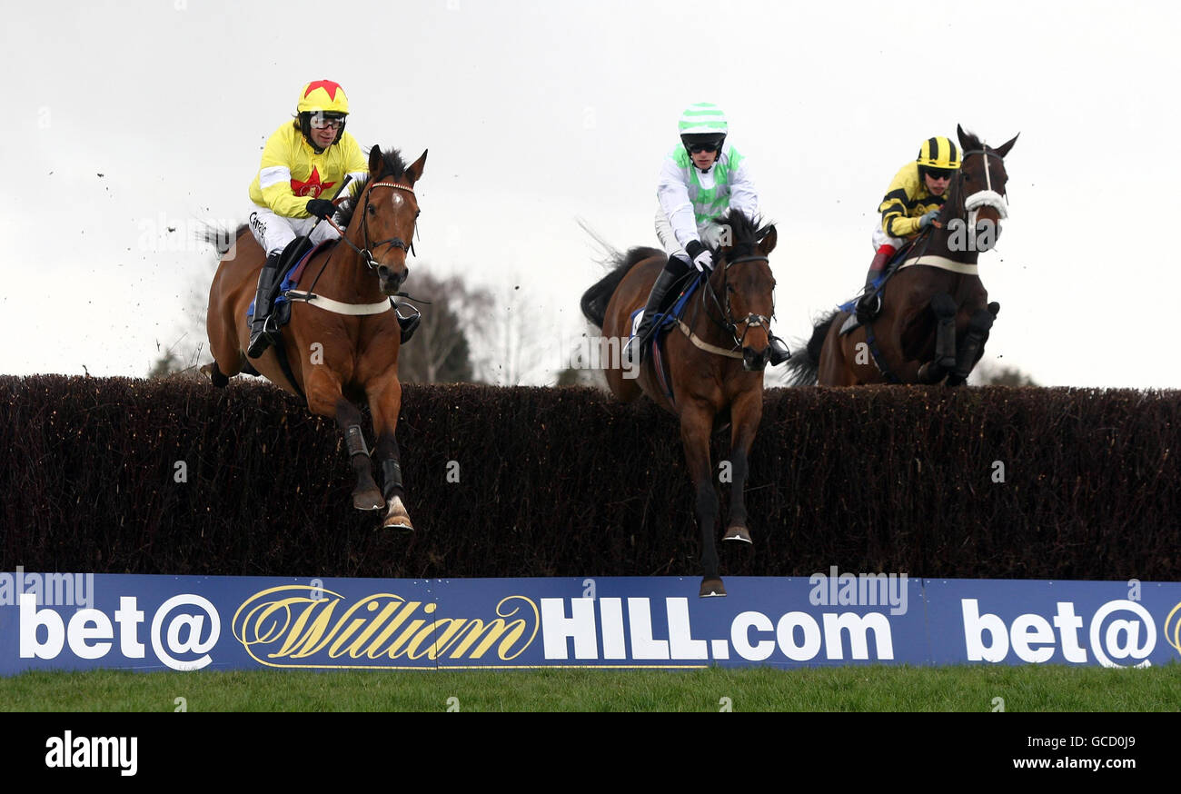 Bay racehorse jumping hi-res stock photography and images - Alamy