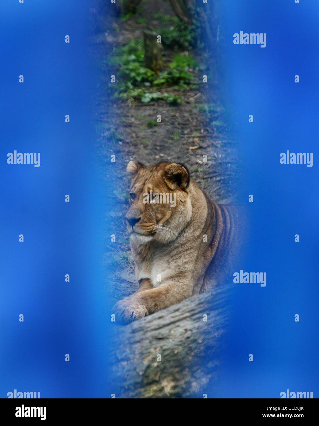 Numbers decreasing hi-res stock photography and images - Alamy