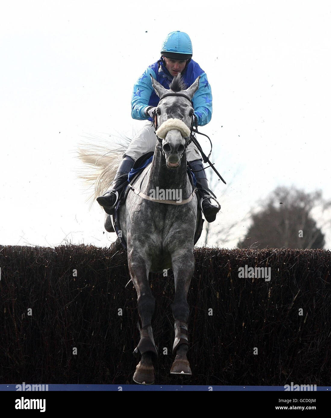 Omix D'Or riden by David Dennis jumps the last to go on and win the ...