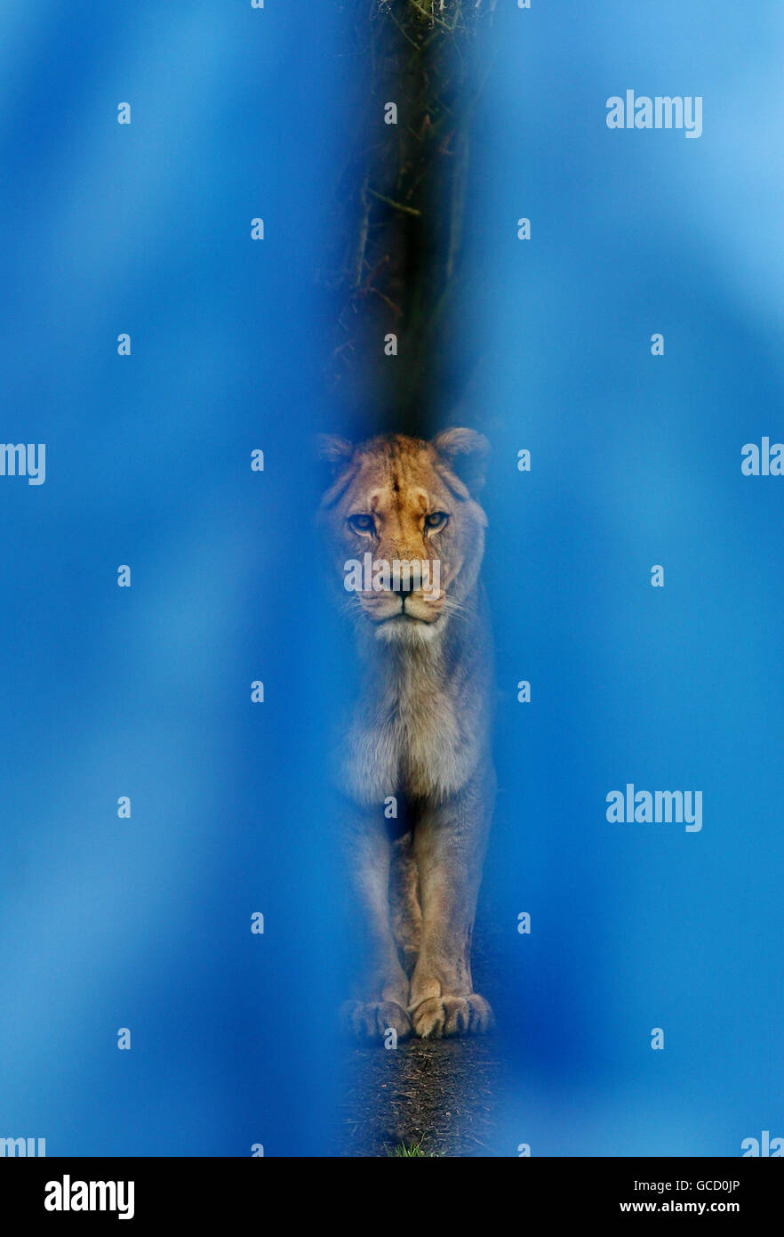 Numbers decreasing hi-res stock photography and images - Alamy