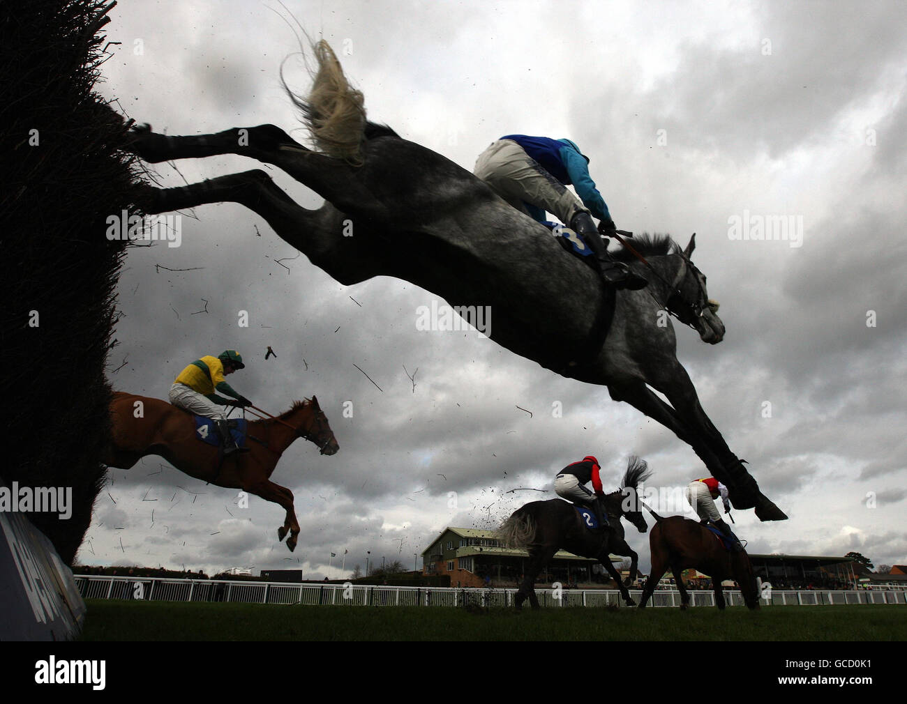 Omix D'Or riden by David Dennis (nearest the camera) takes a jump on ...