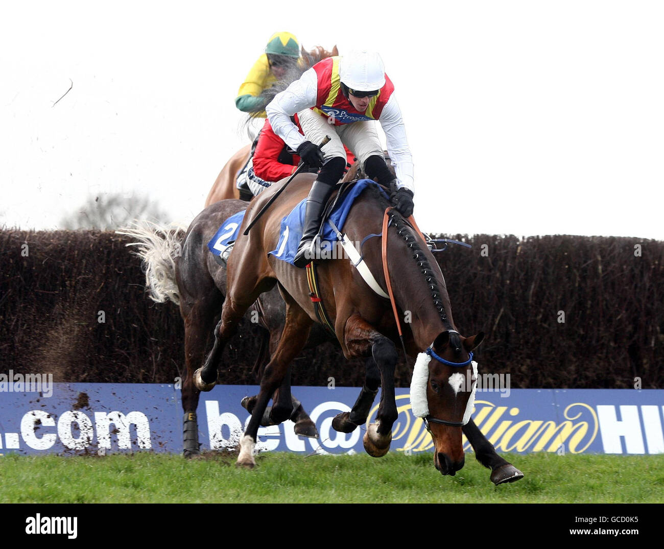 Horse Racing - Hereford Racecourse Stock Photo - Alamy