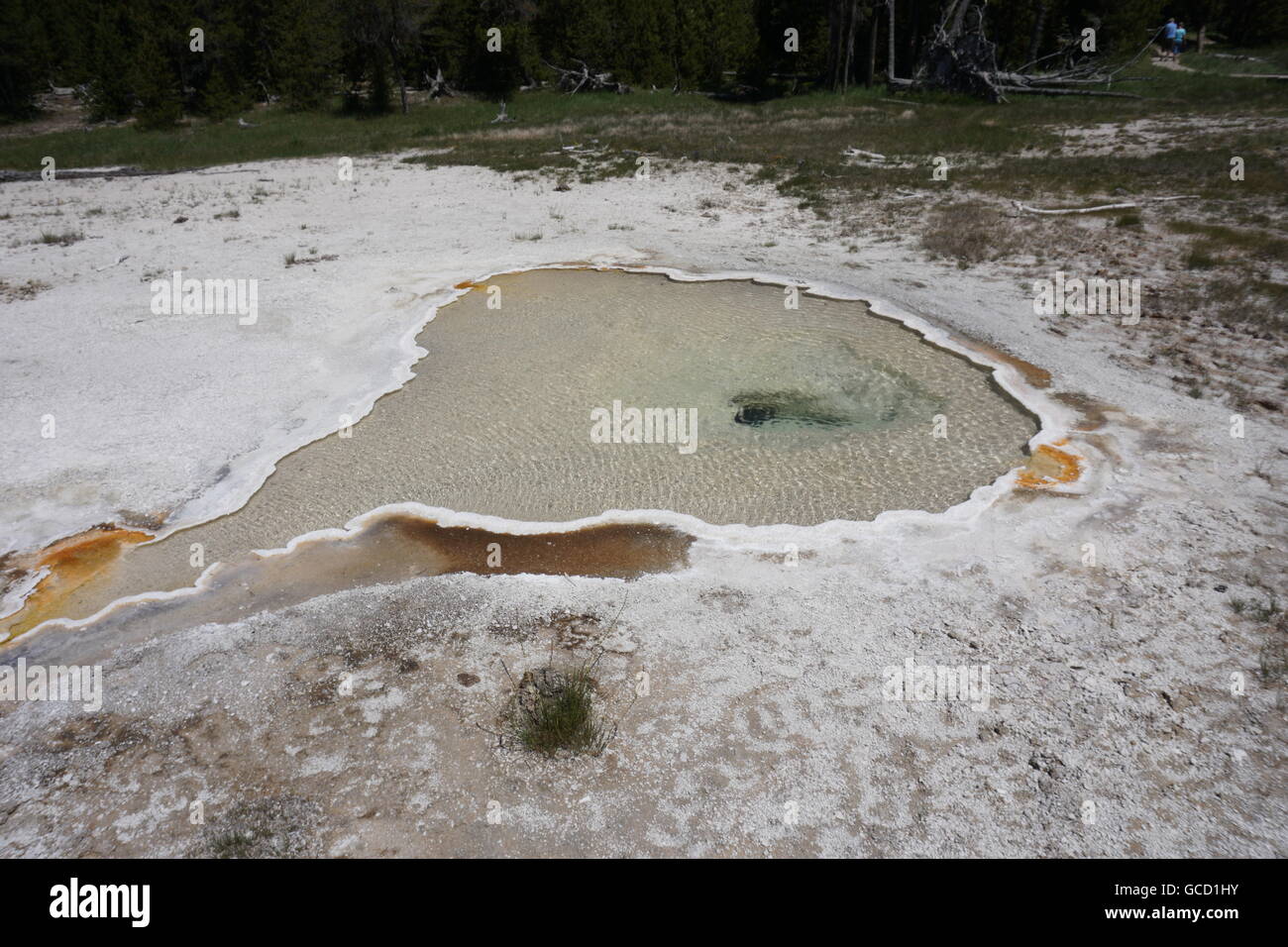 Water ripples in a hot spring, Upper Geyser Basin, Yellowstone National ...